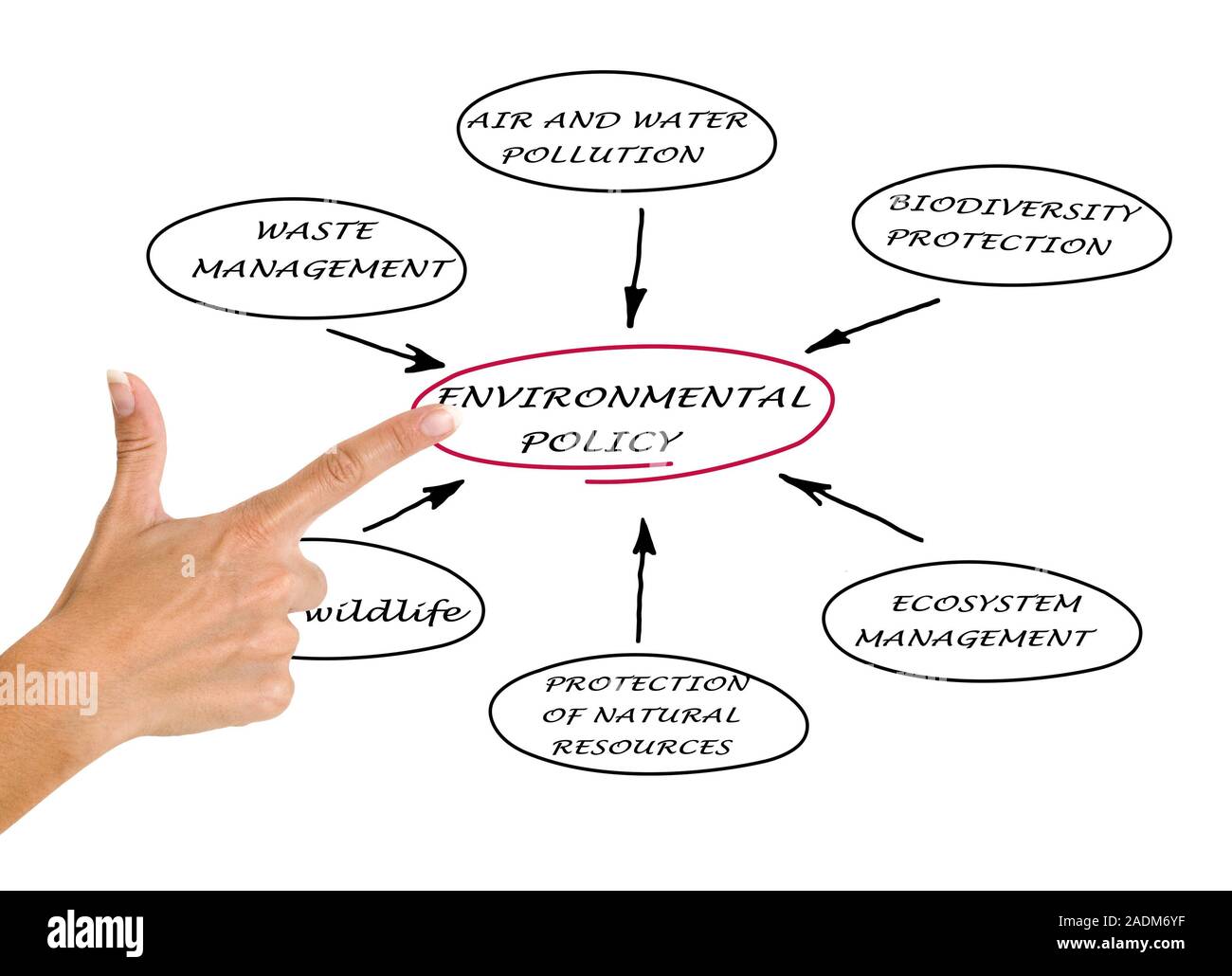 Diagram of environmental policy Stock Photo - Alamy