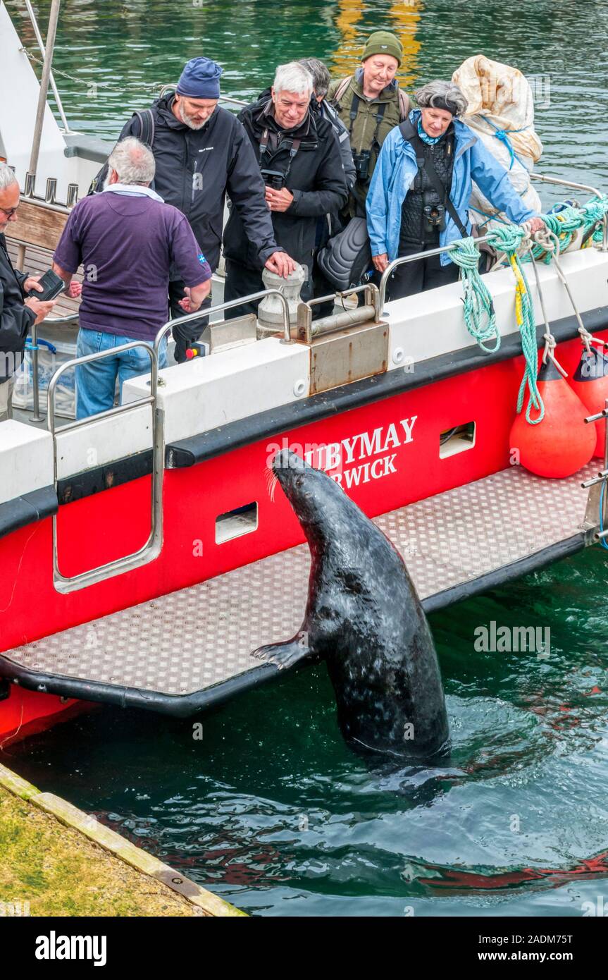Wildlife sightseeing boat trip hi-res stock photography and images - Alamy