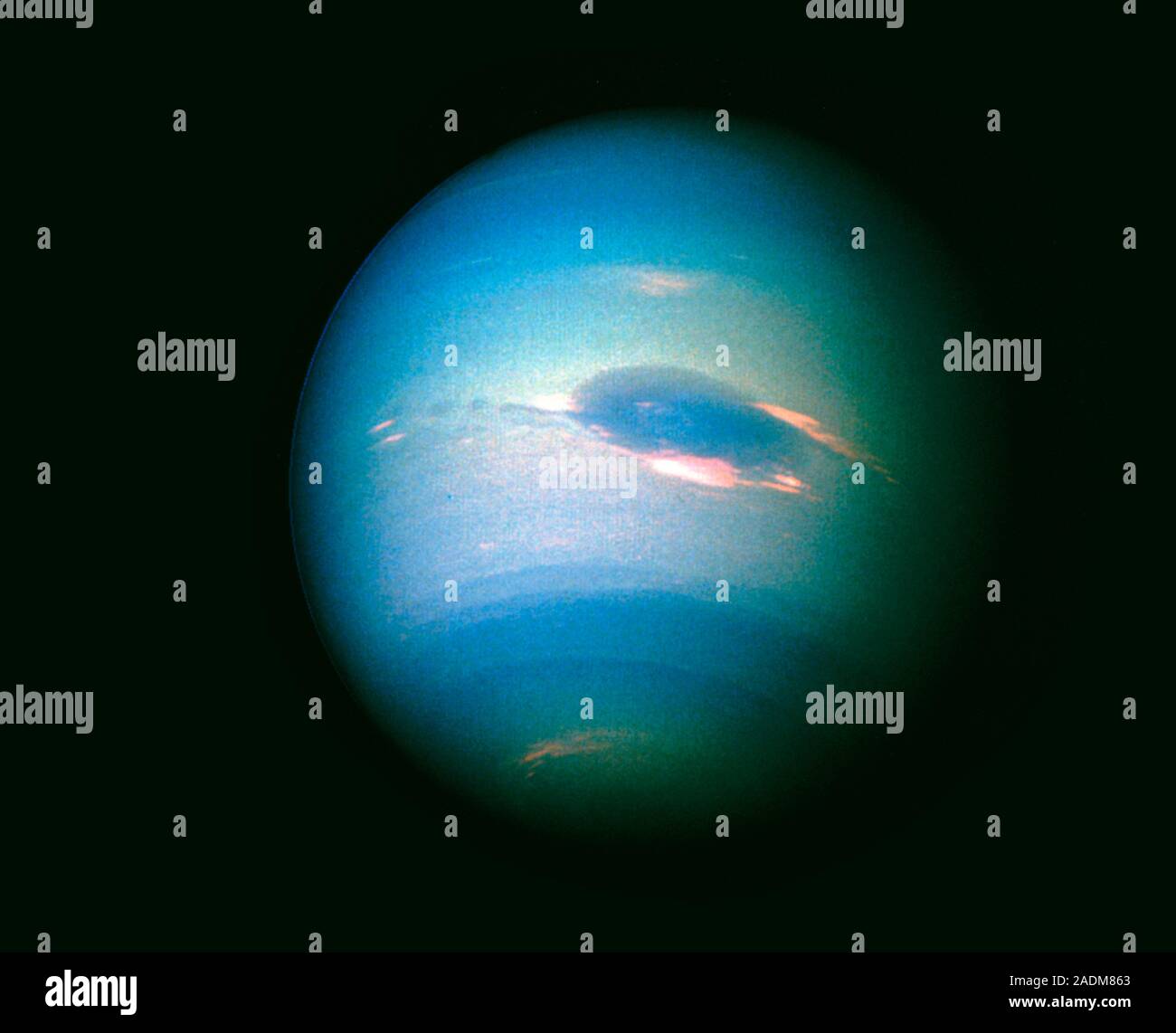 Voyager 2 spacecraft false-colour image of the planet Neptune, taken ...