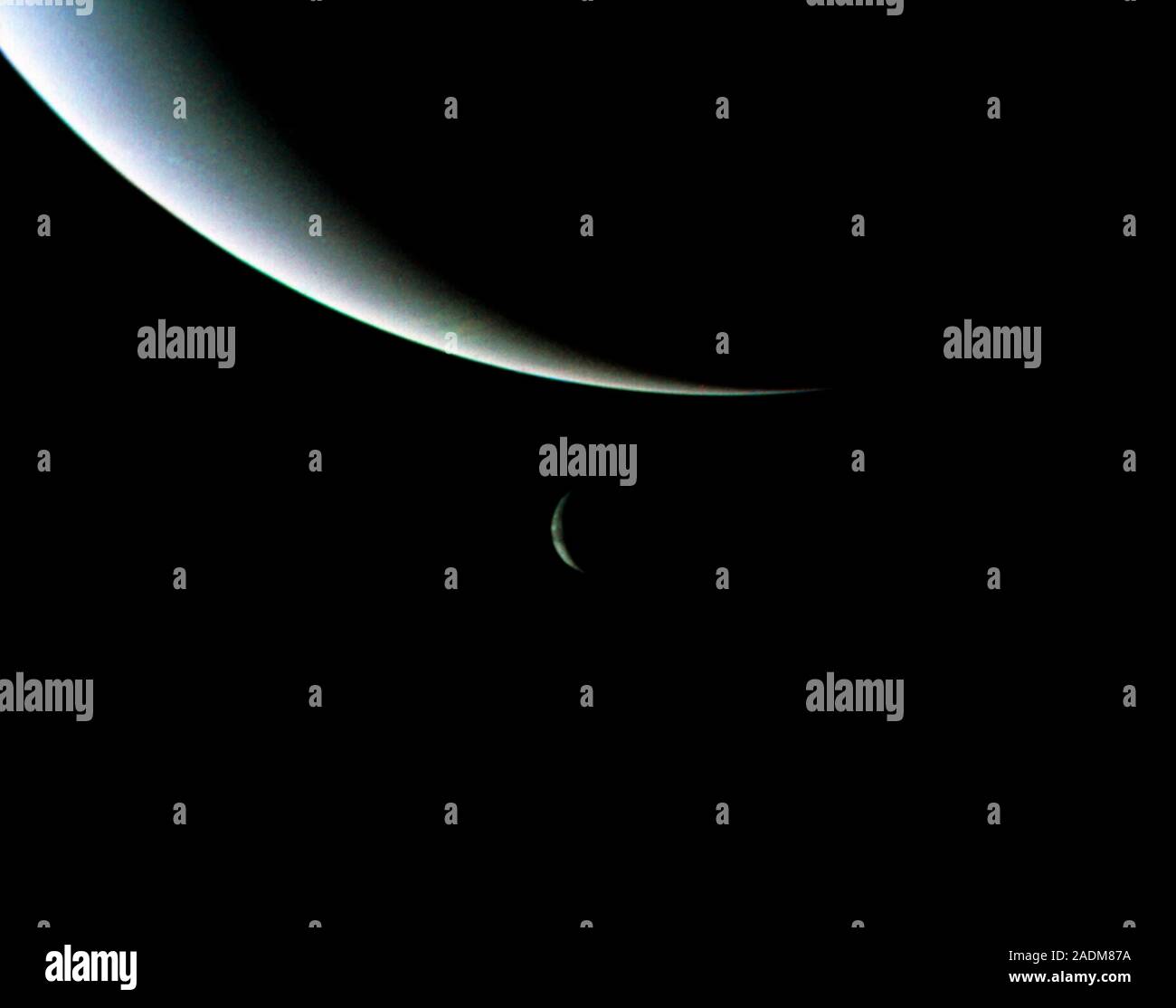 Neptune and Triton. Voyager 2 image of the gas giant planet Neptune ...