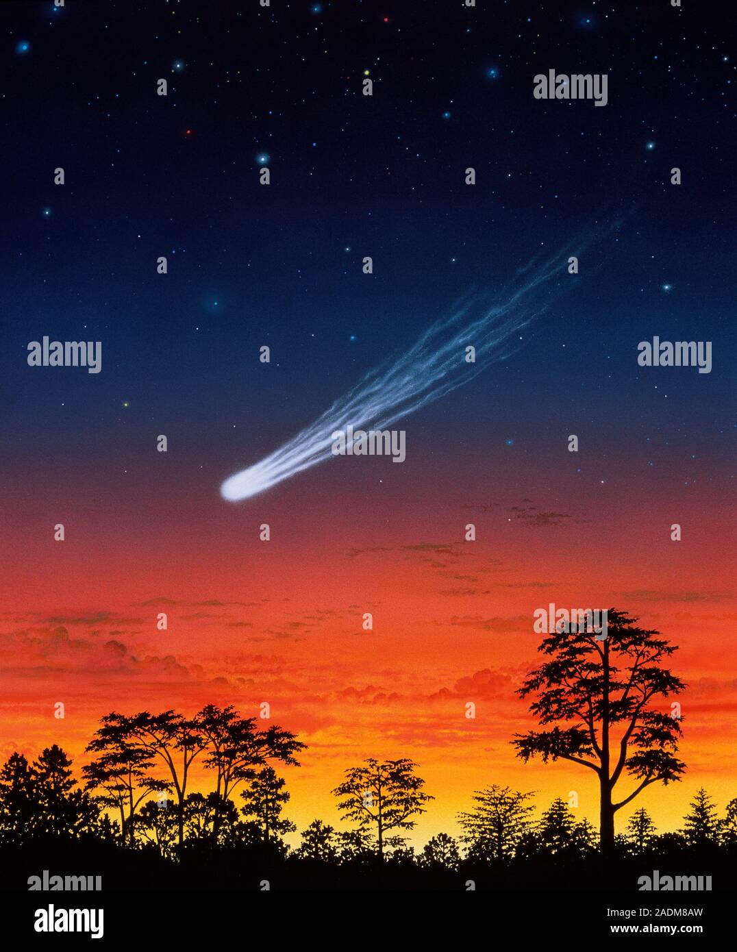 Comet. Illustration of a huge comet in a starry sky over trees ...