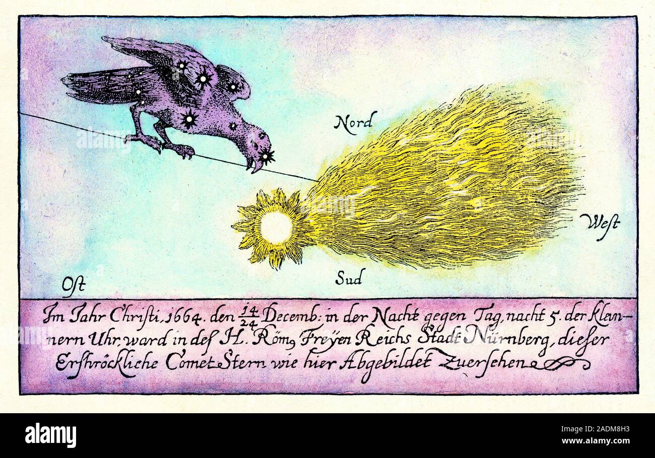 Comet of 1664-5. Coloured historical artwork of the comet seen from ...