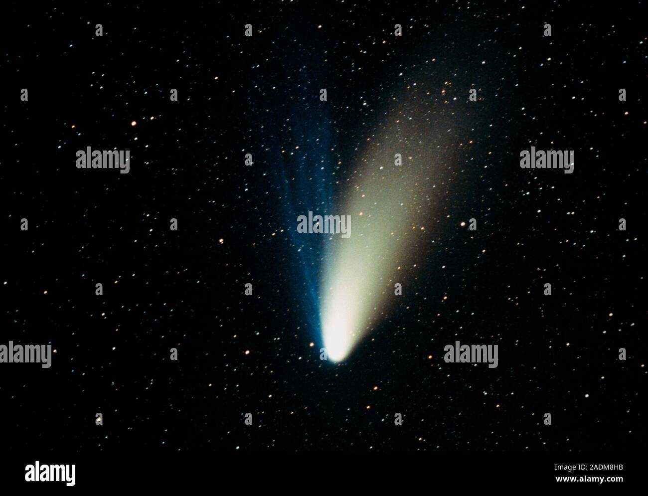 Comet Hale-Bopp. Optical image of comet Hale-Bopp showing its gas and ...