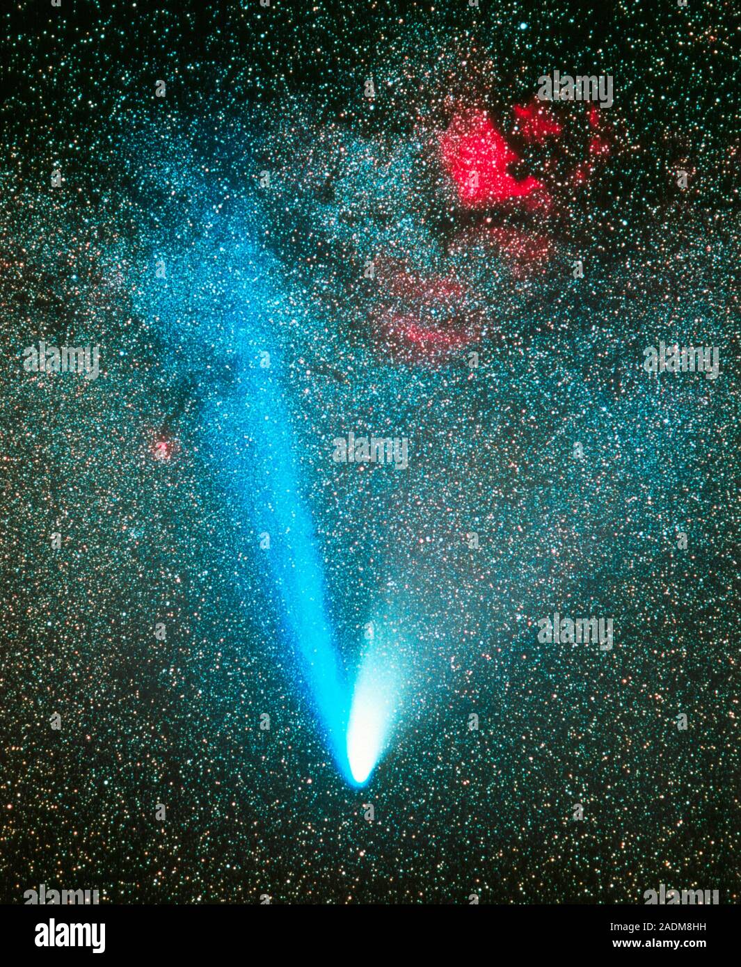 Comet Hale-Bopp. Optical image of comet Hale-Bopp showing its gas and ...