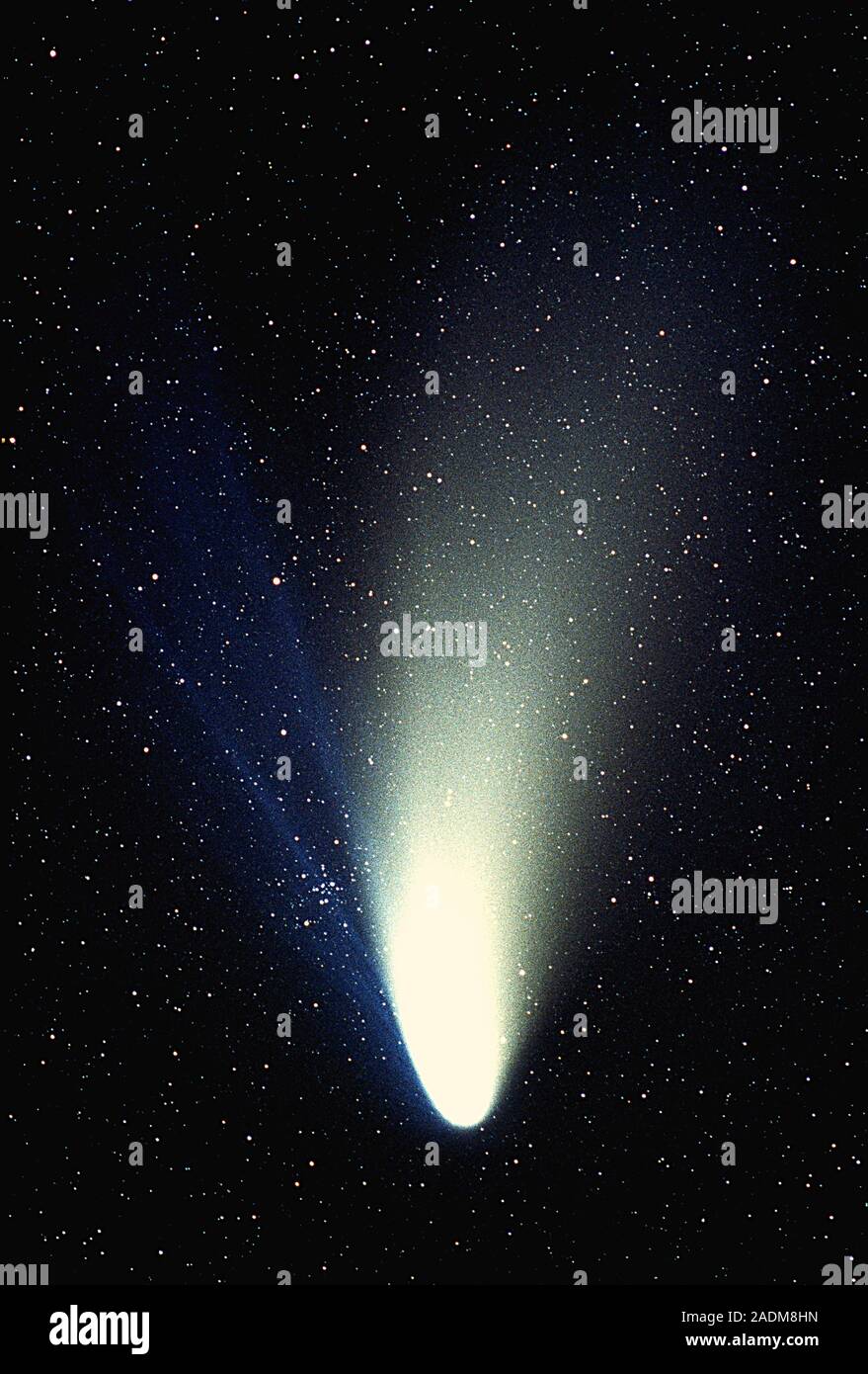 Comet Hale-Bopp. Optical image of comet Hale-Bopp showing its gas and ...
