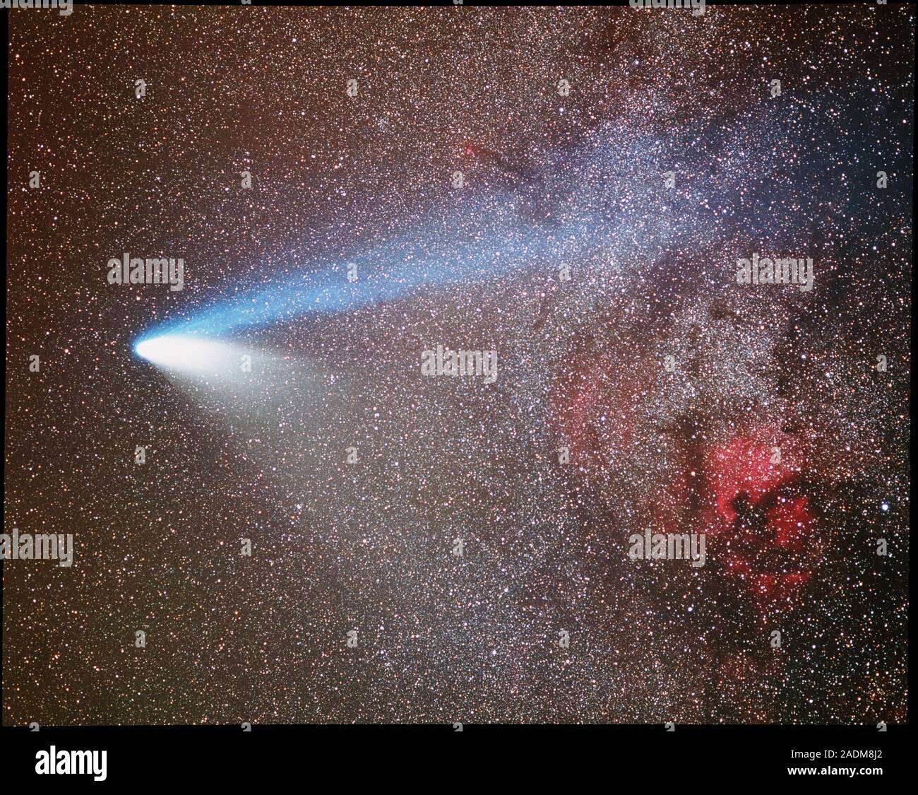 Comet Hale-Bopp. Optical image of comet Hale-Bopp showing its gas and dust tails. The comet's ...