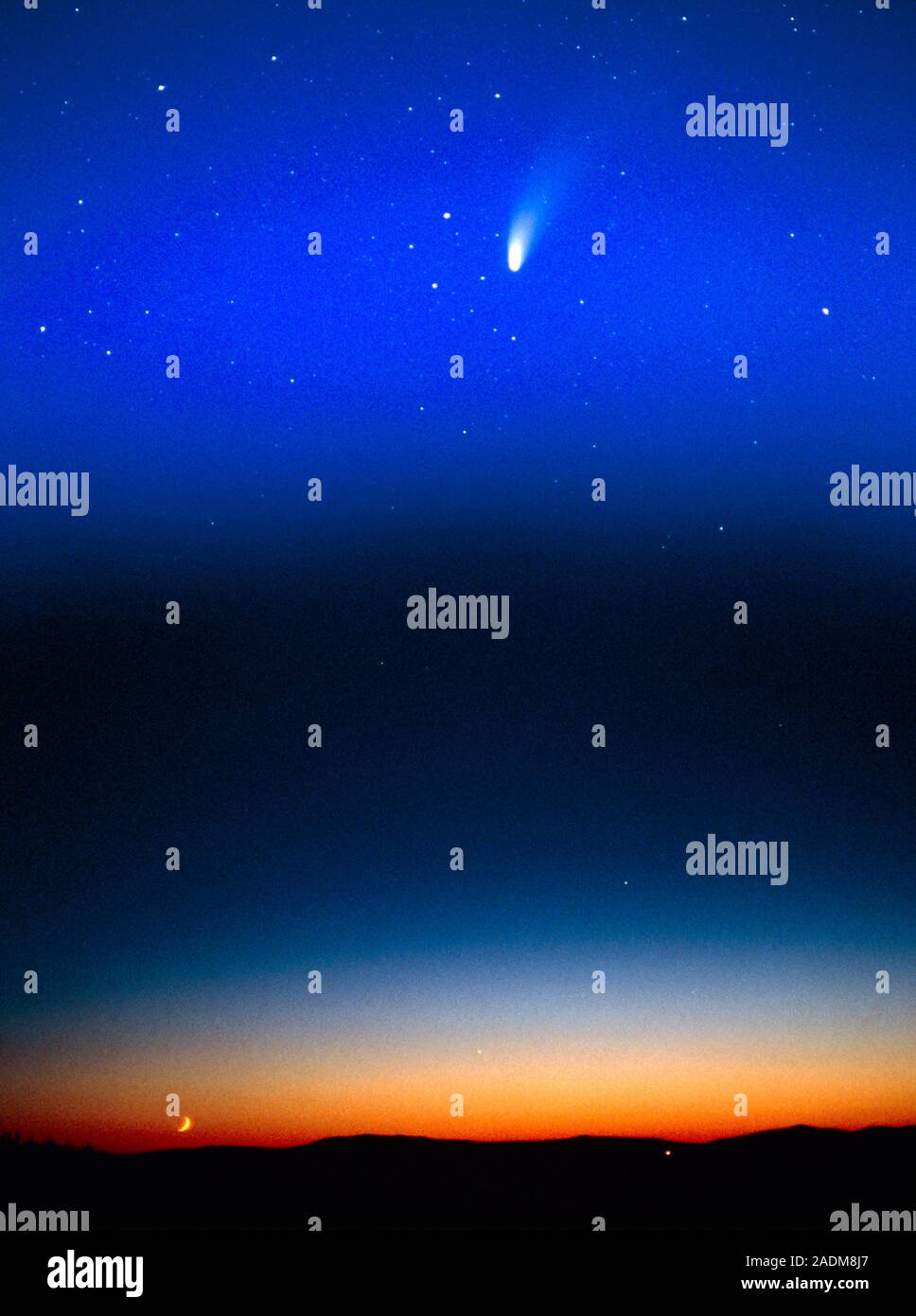 Hale-Bopp comet. Optical image of the Hale-Bopp comet. The comet's head ...