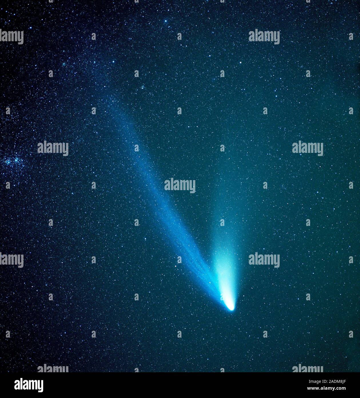 Hale-Bopp comet. Optical image of comet Hale-Bopp showing its gas and ...