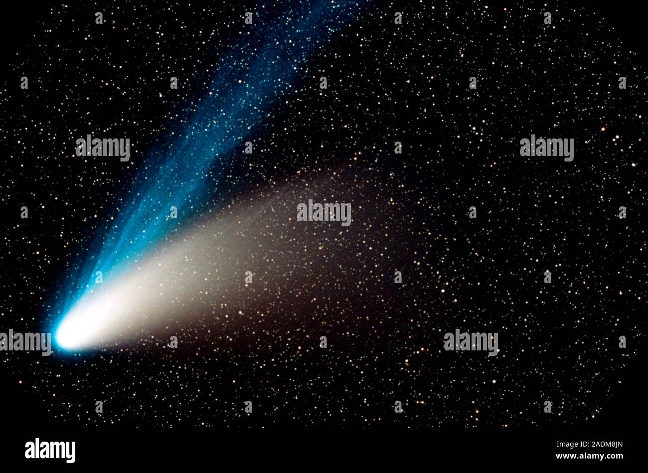 Comet Hale-Bopp. This was one of the brightest comets of the 20th ...