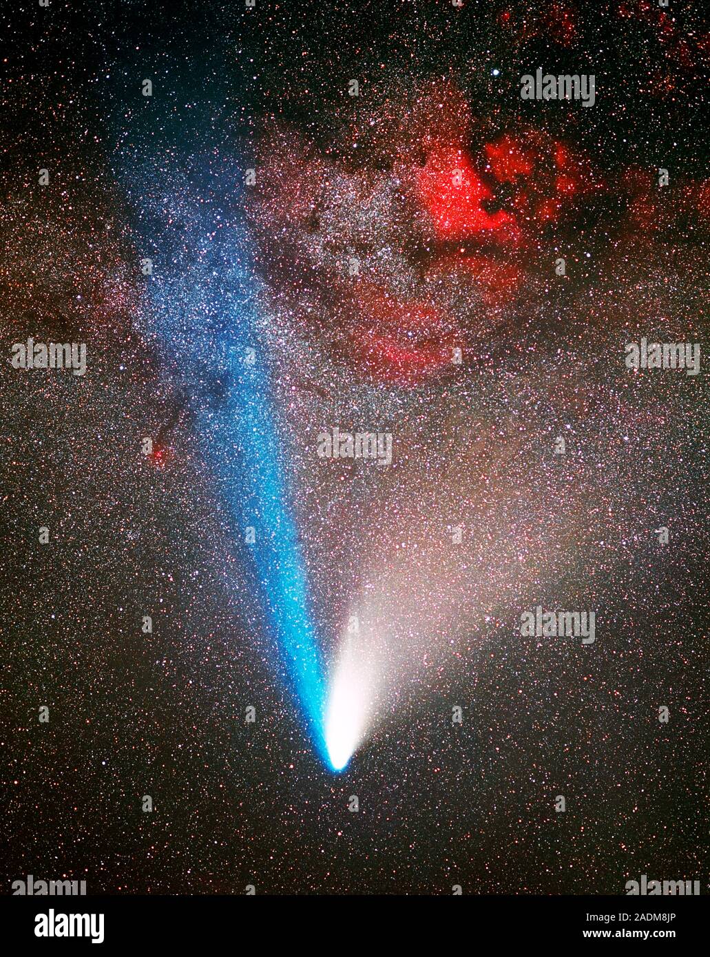 Comet Hale-Bopp. Optical image of comet Hale-Bopp showing its gas and ...