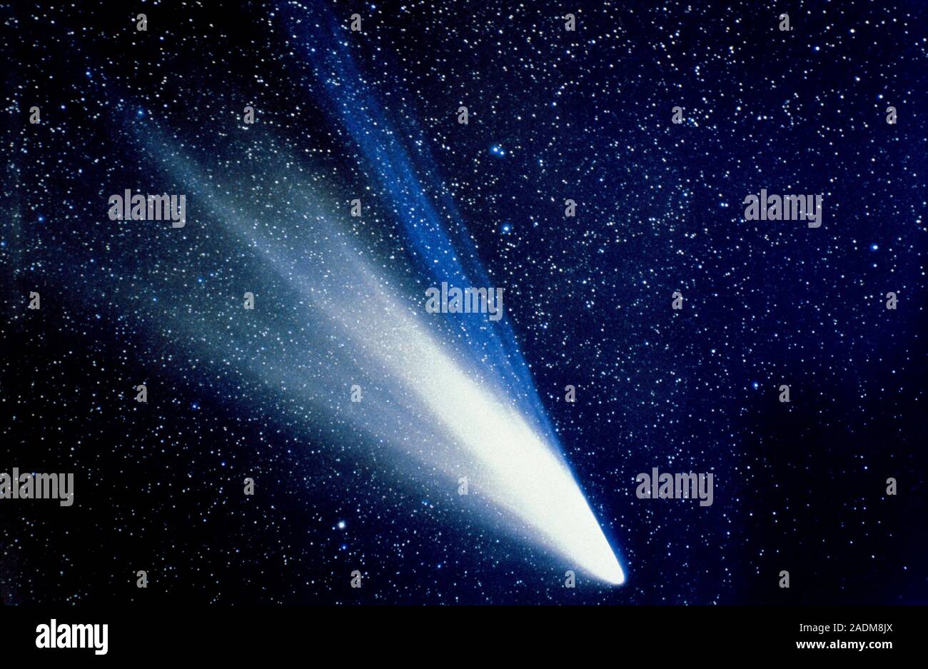 Comet West, showing its dust tail (white) and its gas tail (blue ...