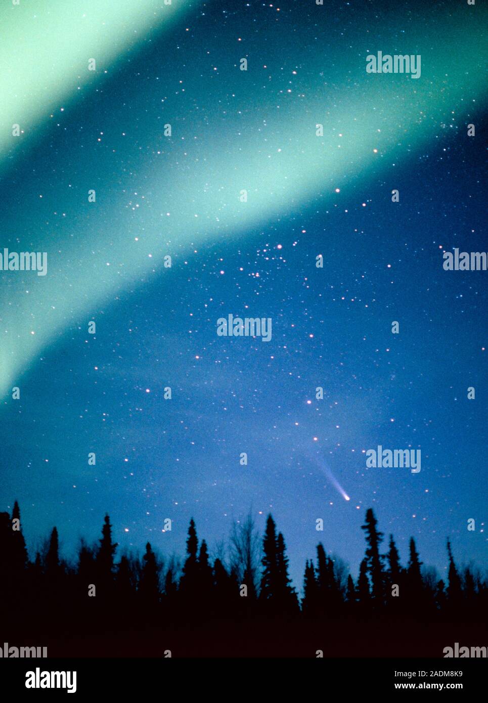 Comet Hyakutake. Comet Hyakutake (1996 B2, lower right) with a display ...