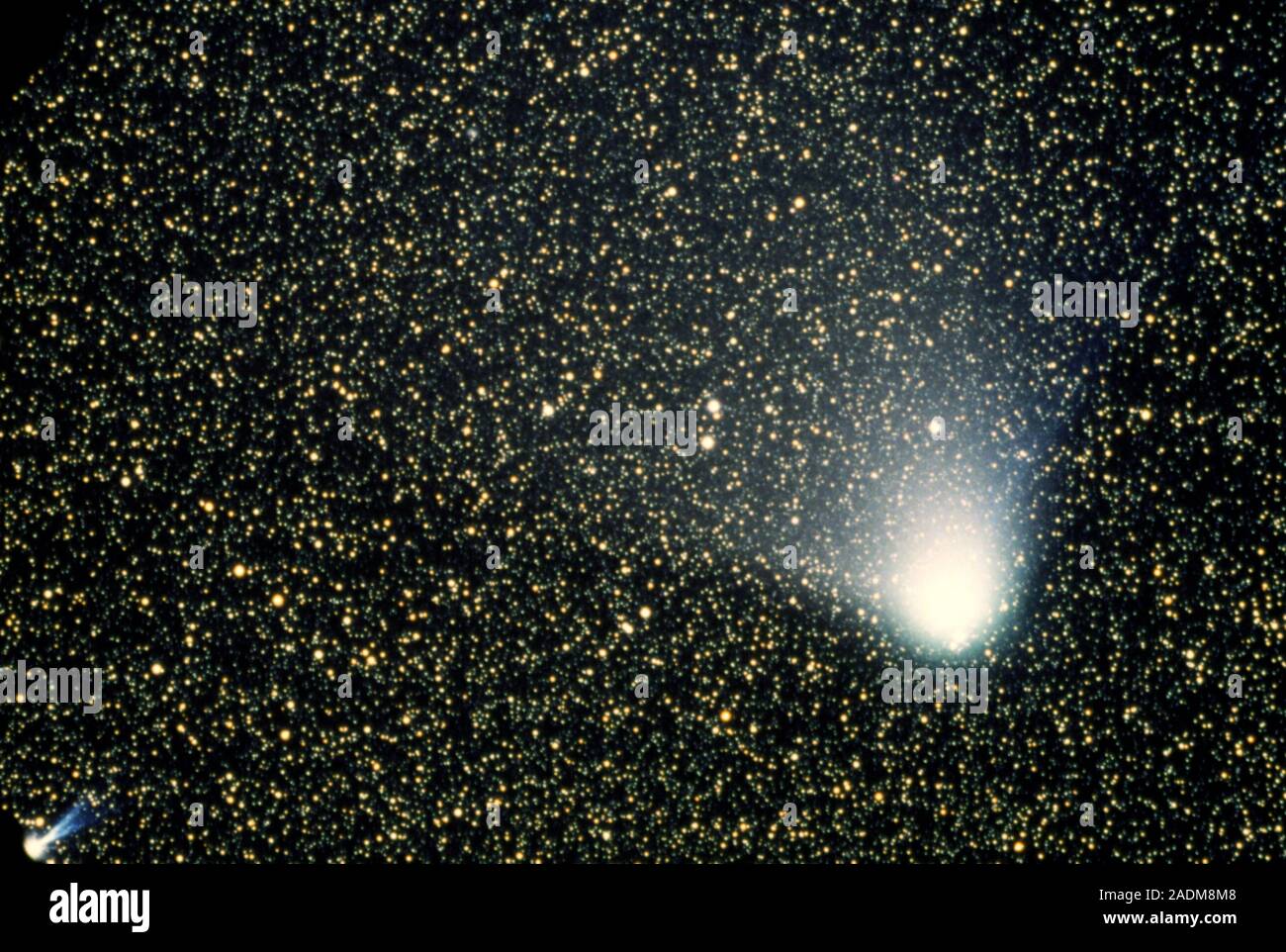 Halley's Comet, photographed on the night of April 12, 1986, from Ayers ...