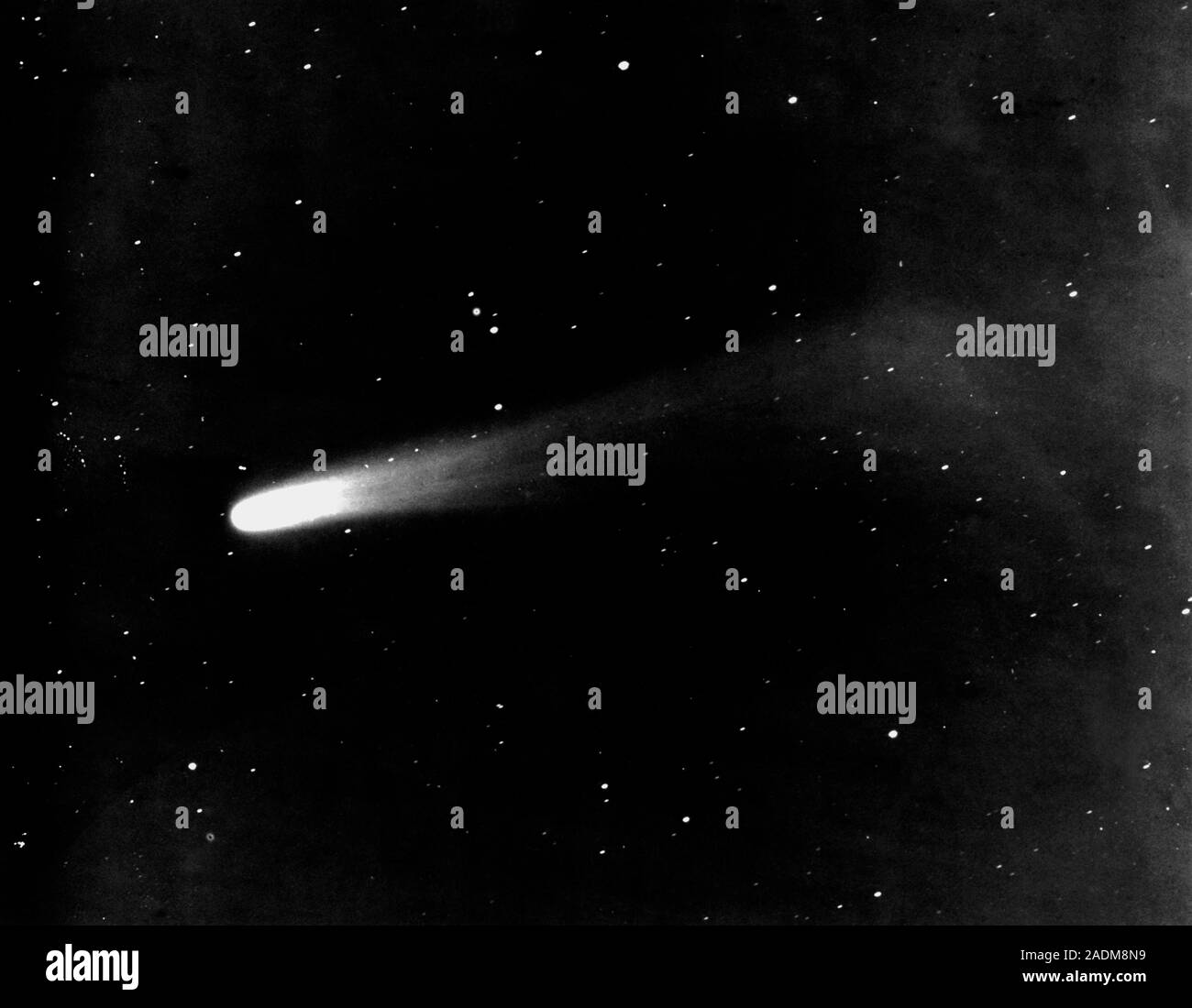 Halley's Comet. Halley's Comet orbits the Sun every 76 years. This ...