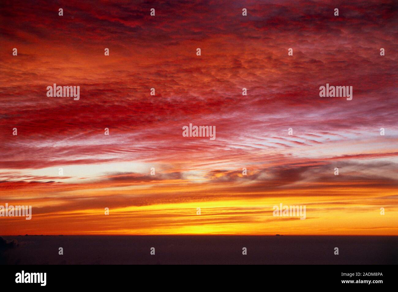 High-altitude stratus clouds at sunset, photographed from the 2400 ...