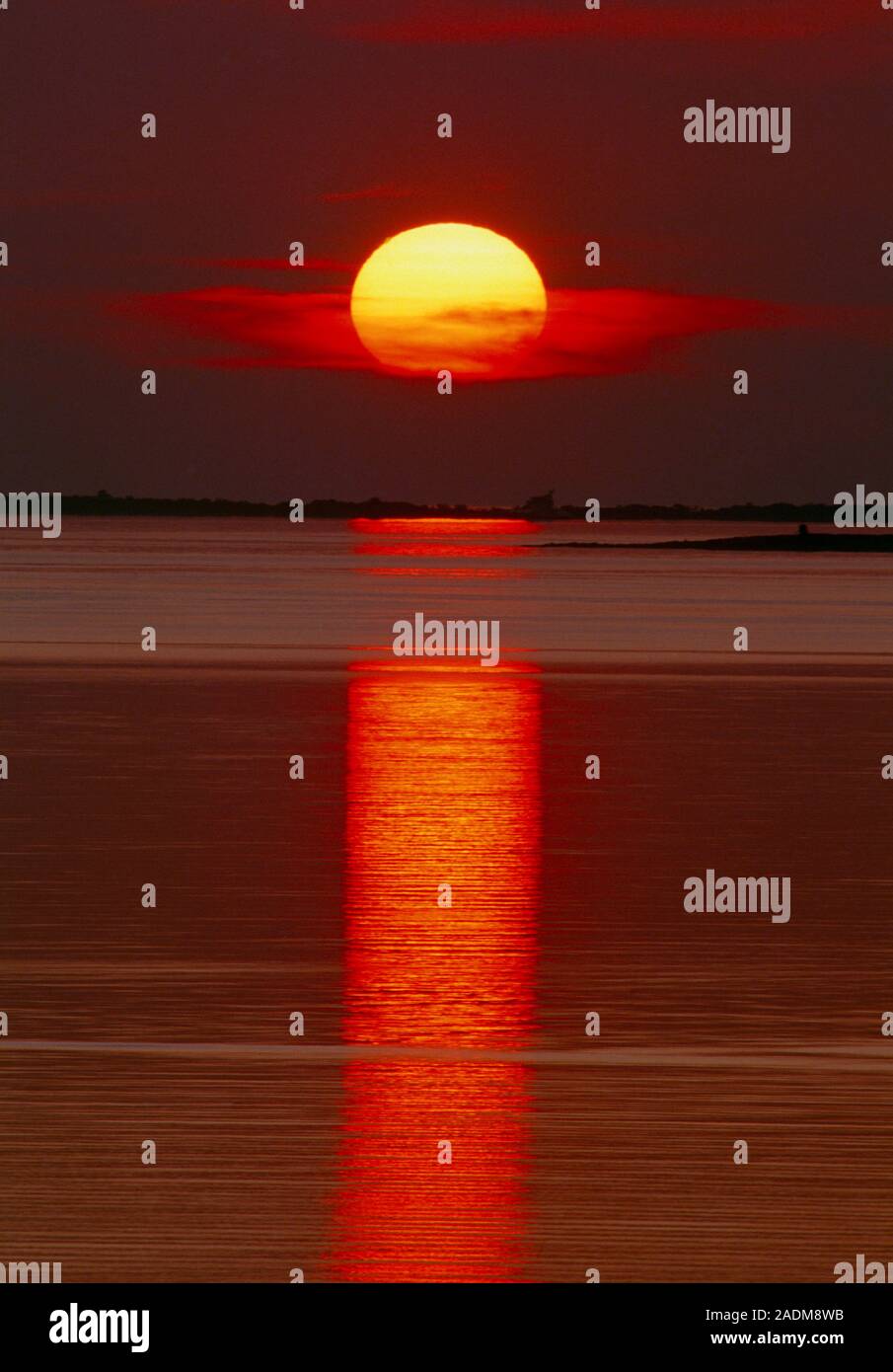 Sunset. A huge orange sun sinks towards the sea's horizon, throwing ...