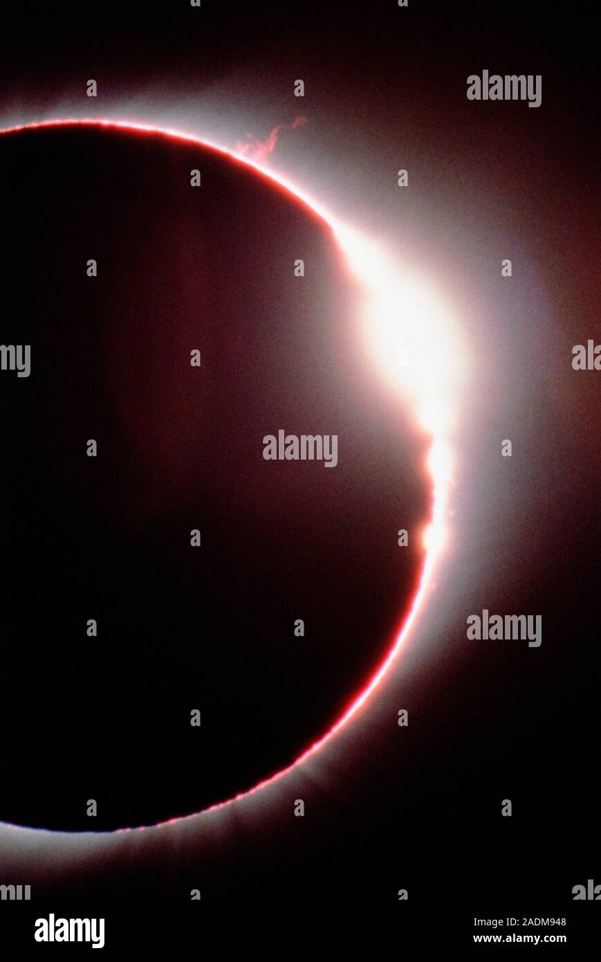 Solar Eclipse. Full eclipse of the Sun showing a solar flare (red) at ...