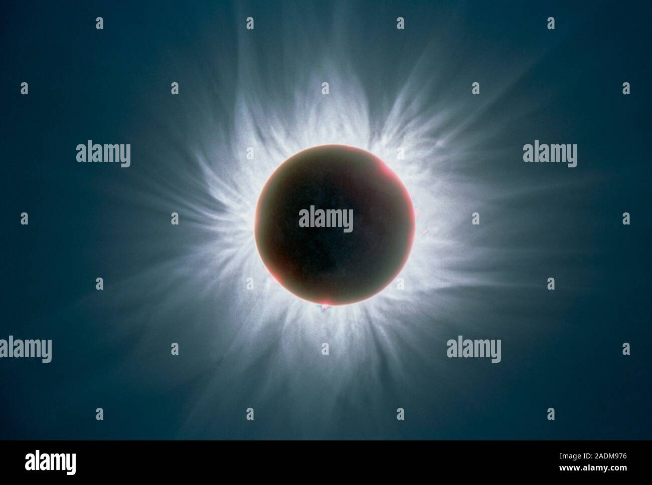 Total solar eclipse. Digitally enhanced composite of 22 images of the ...