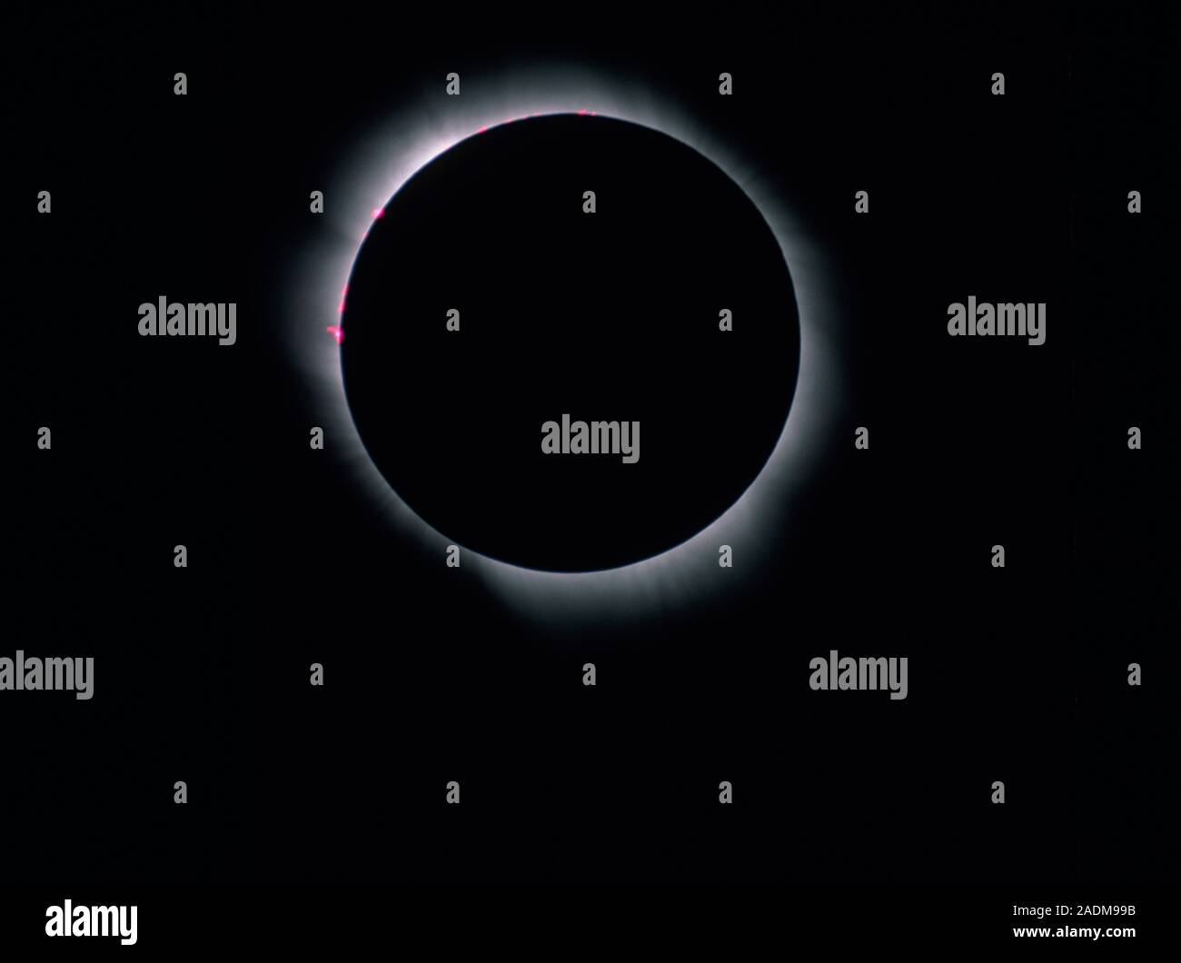 Total solar eclipse. Inner corona of the Sun, seen during a total solar ...