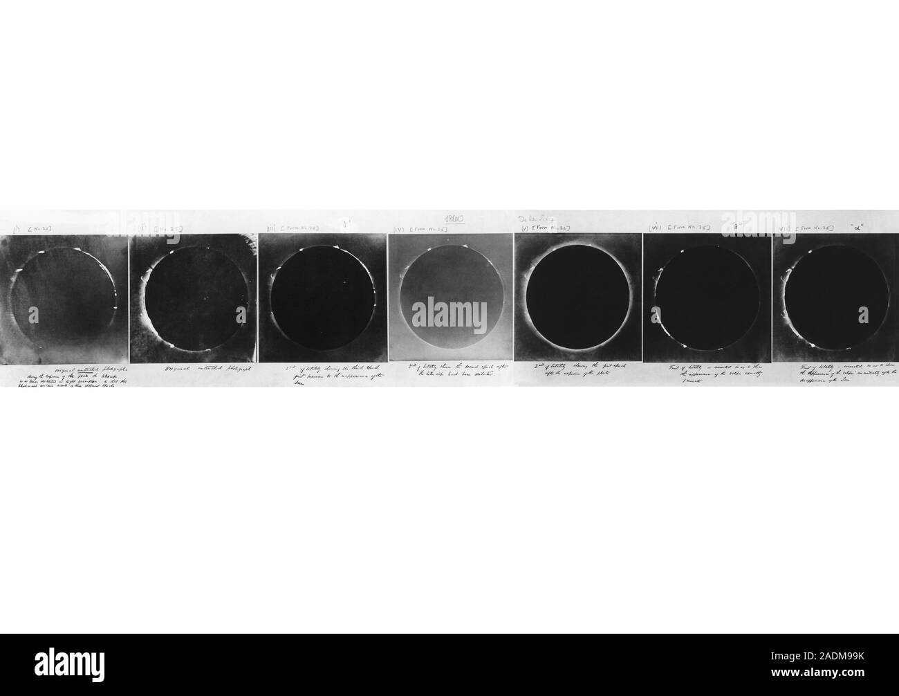 Total solar eclipse, 1860. Series of images of the Sun during the ...