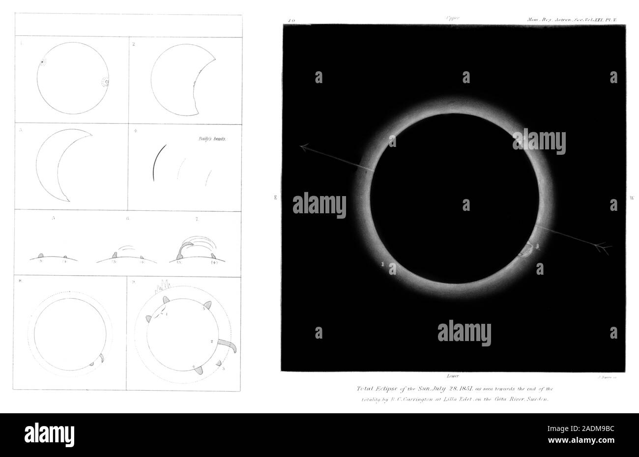 Total solar eclipse, 1851. Engraving (right) of the total solar eclipse ...
