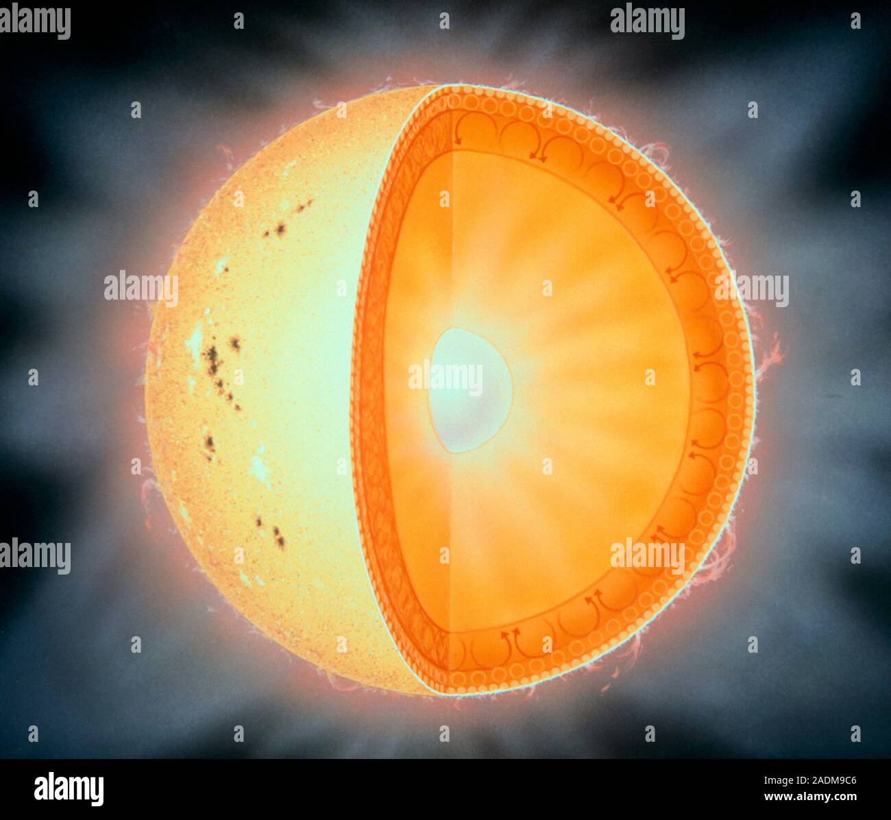 Diagram of the Sun with a cutaway view of the interior showing the ...