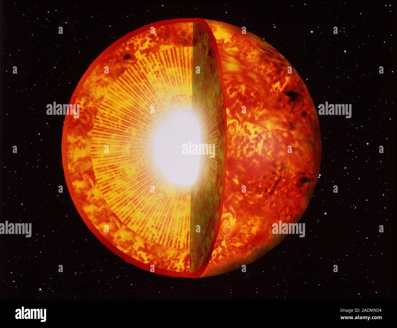 The Sun. Computer graphic of the Sun, showing its internal layered ...