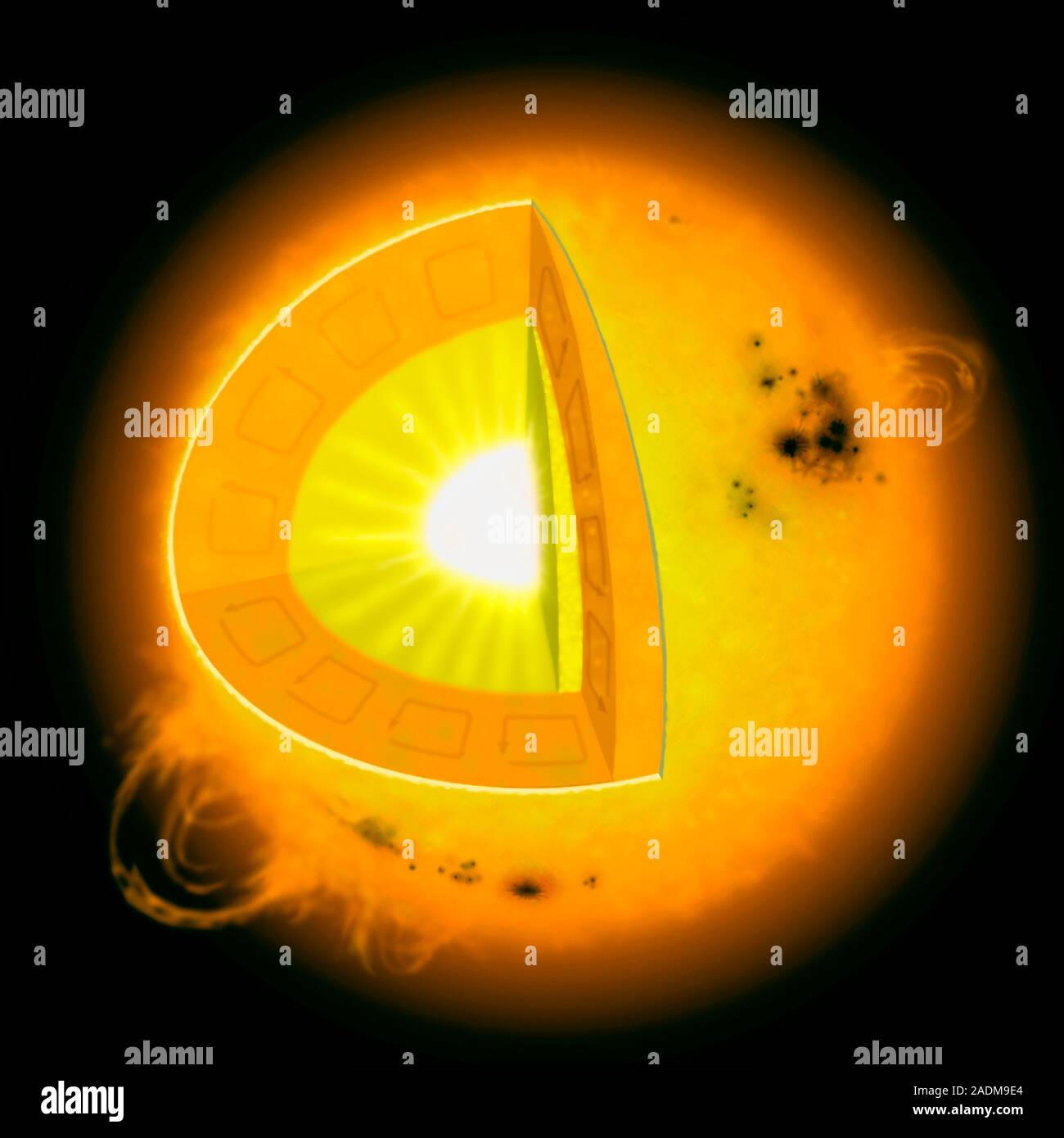 Sun structure. Cutaway artwork showing the inside of the Sun. At the ...