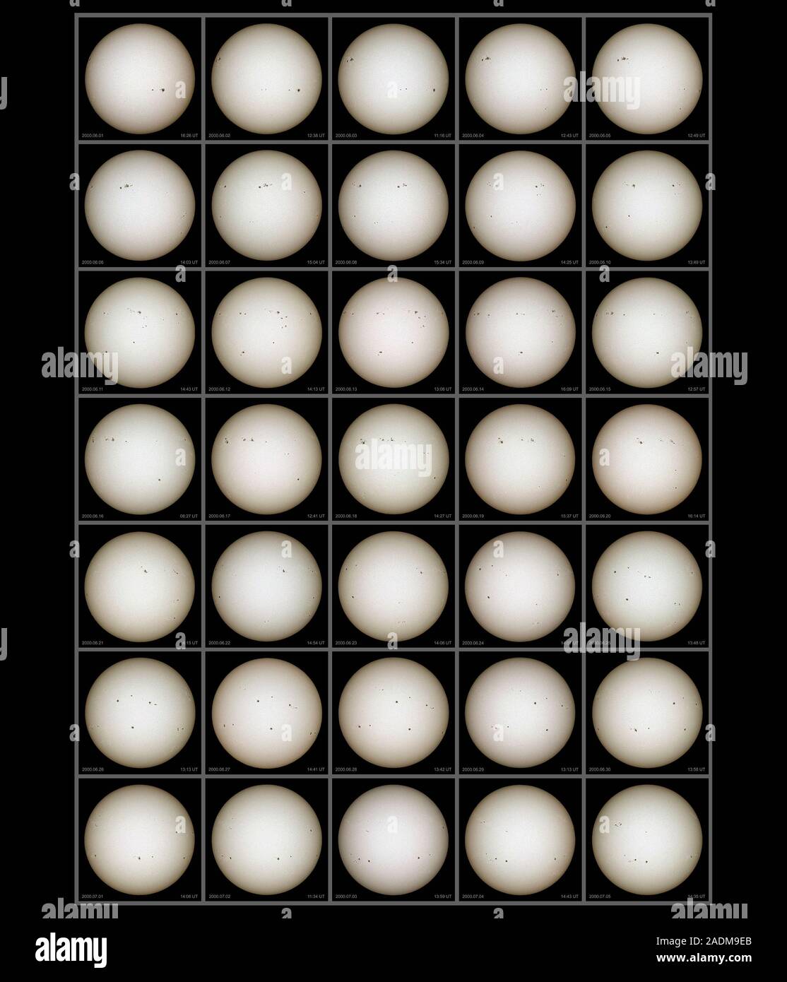Solar rotation. Sequence of 35 optical images taken a day apart ...