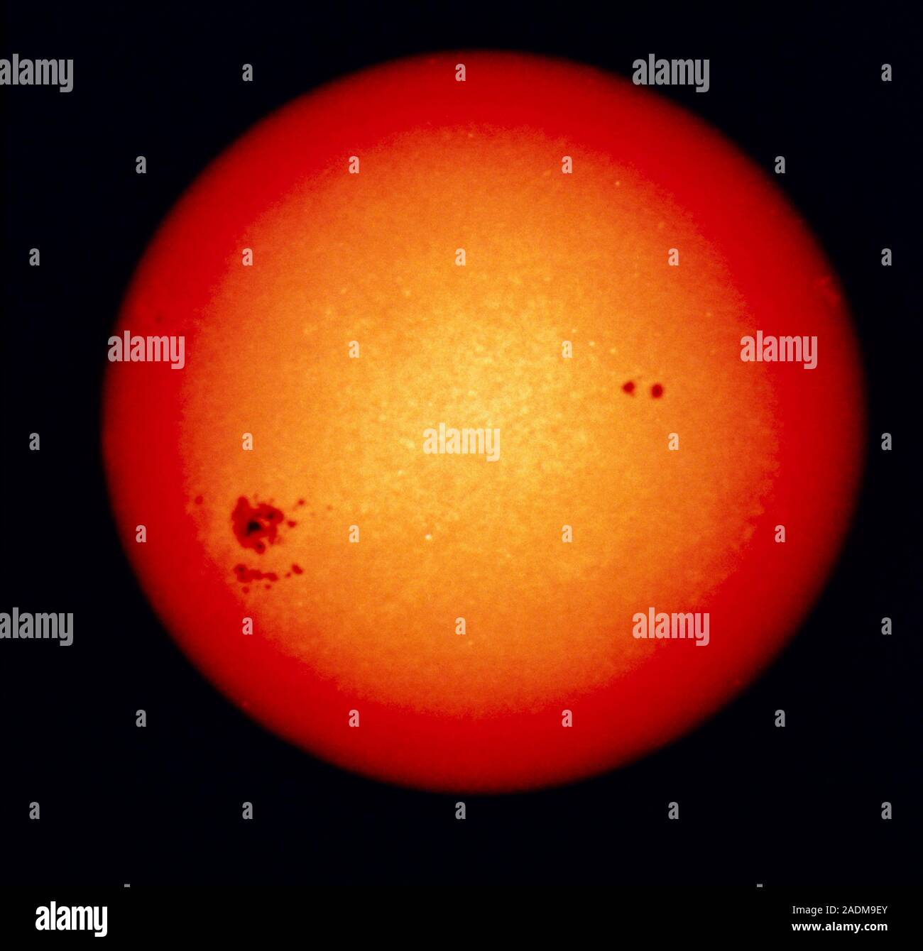 Sunspots. Visible light image of the Sun, showing large sunspots. The ...