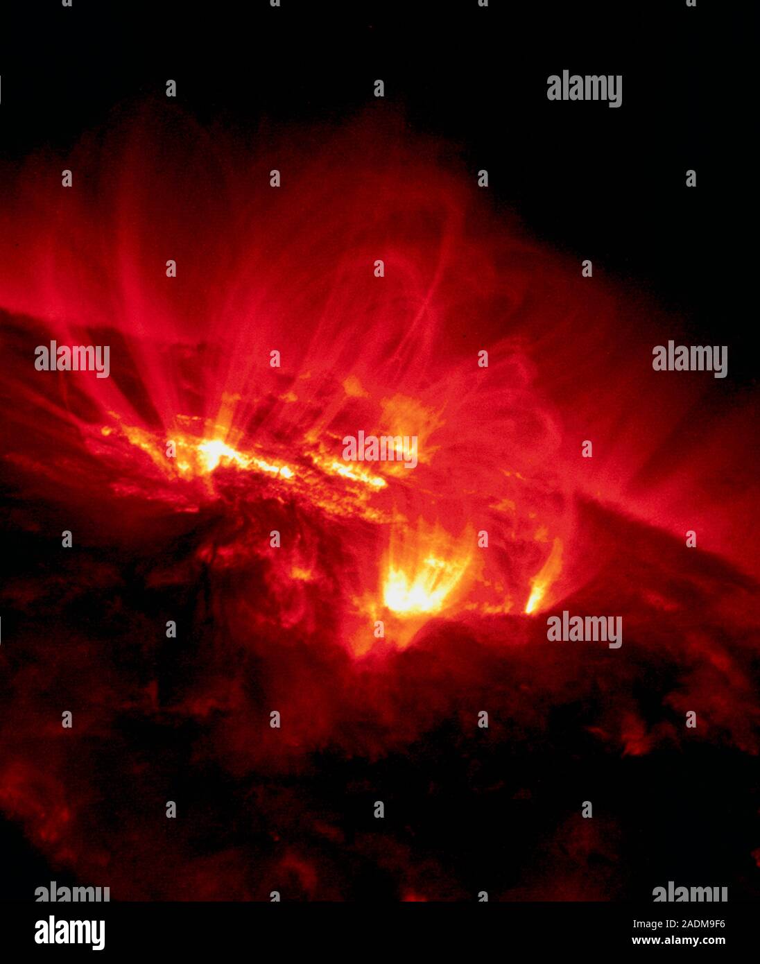 Sun plasma loops. Coloured ultraviolet TRACE sate- llite image of part ...