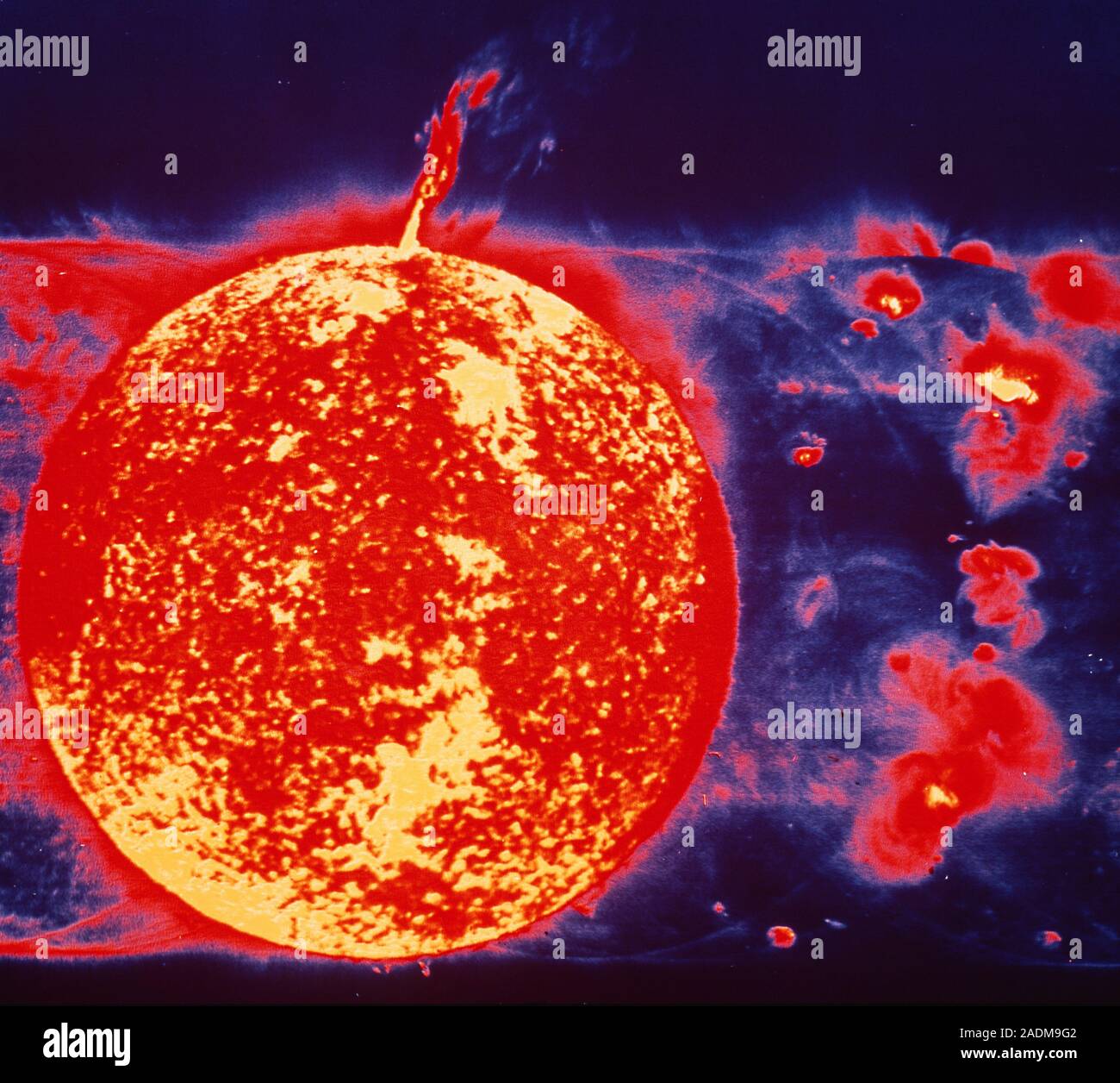 False-colour extreme ultraviolet image of the solar disc & a huge solar ...