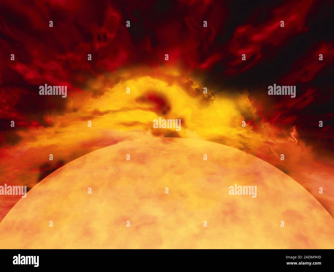 Solar prominences. Computer artwork of prominen- ces (bright areas ...