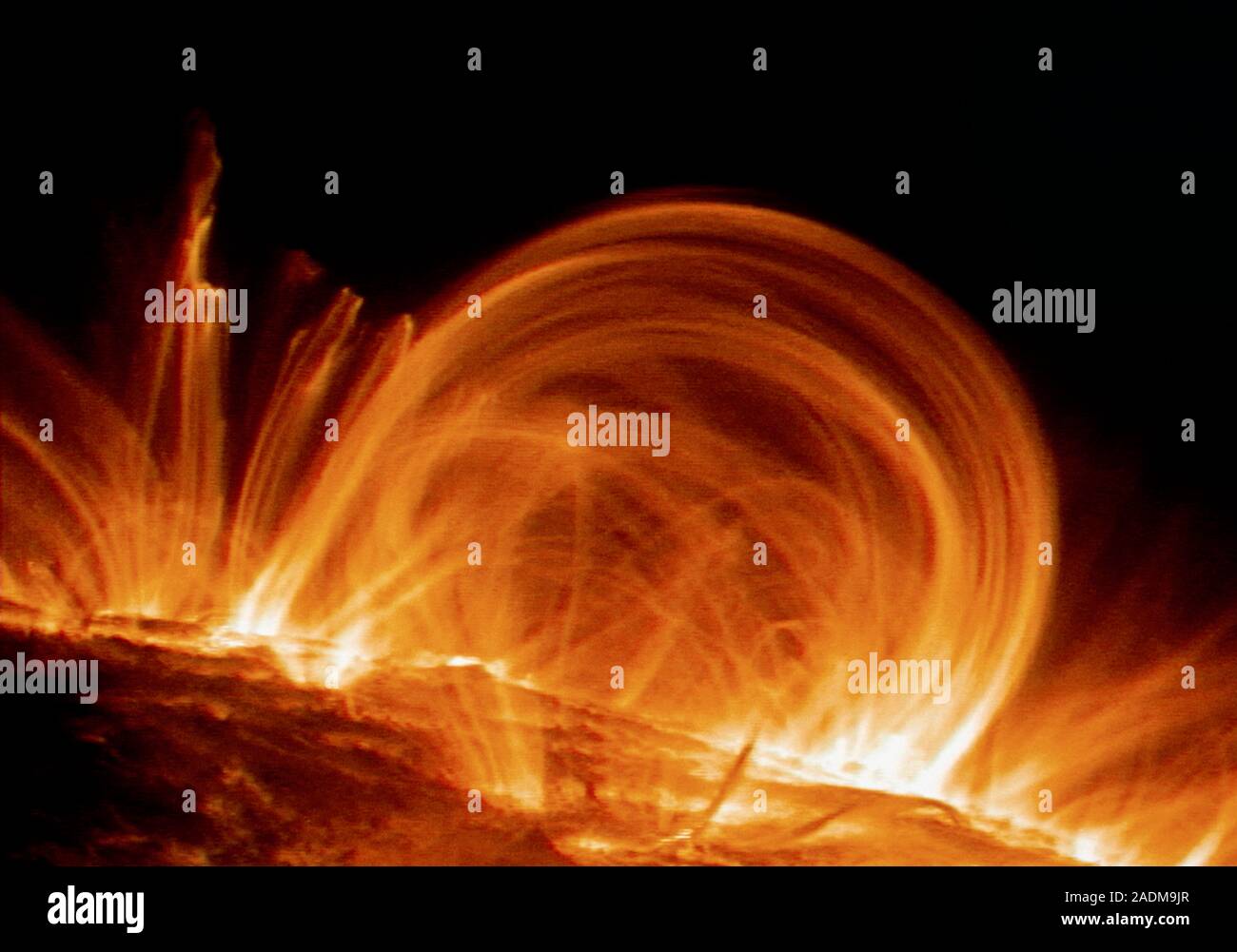 Solar coronal loops. Coloured ultraviolet TRACE image of coronal loops ...