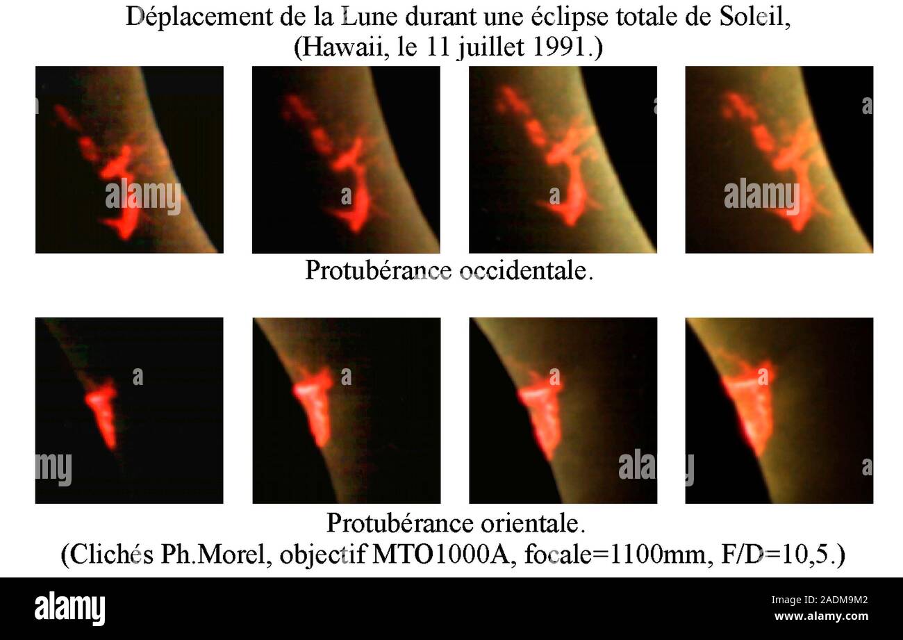 Solar prominences seen during an eclipse. This is the total solar ...