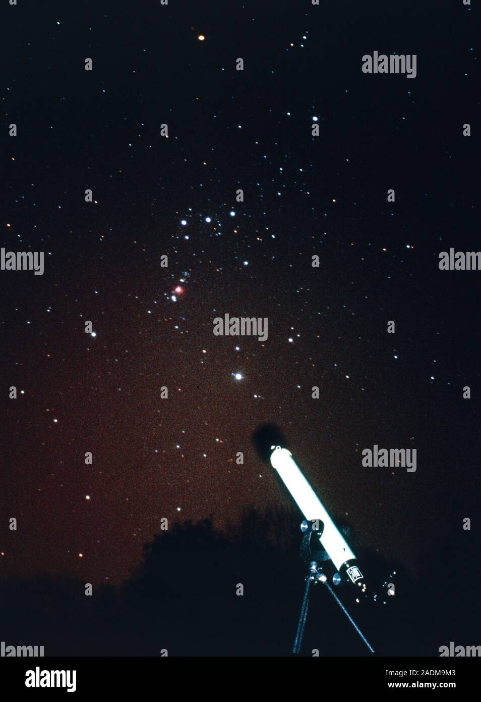 Night sky, showing the constellation of Orion, with Orion's Belt ...