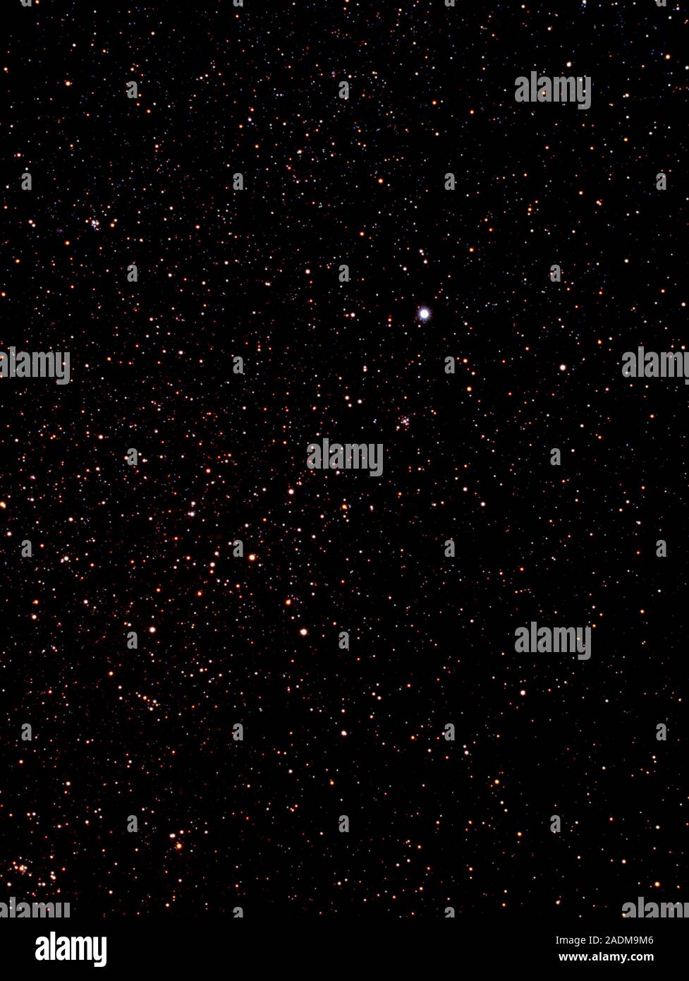 Optical photograph of the constellation of Canis Major. The bright star ...