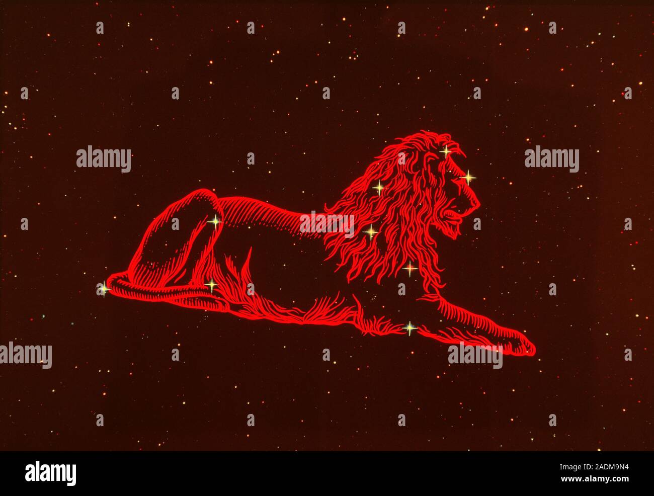 Leo the Lion, fifth of the twelve constellations or signs of the Zodiac ...