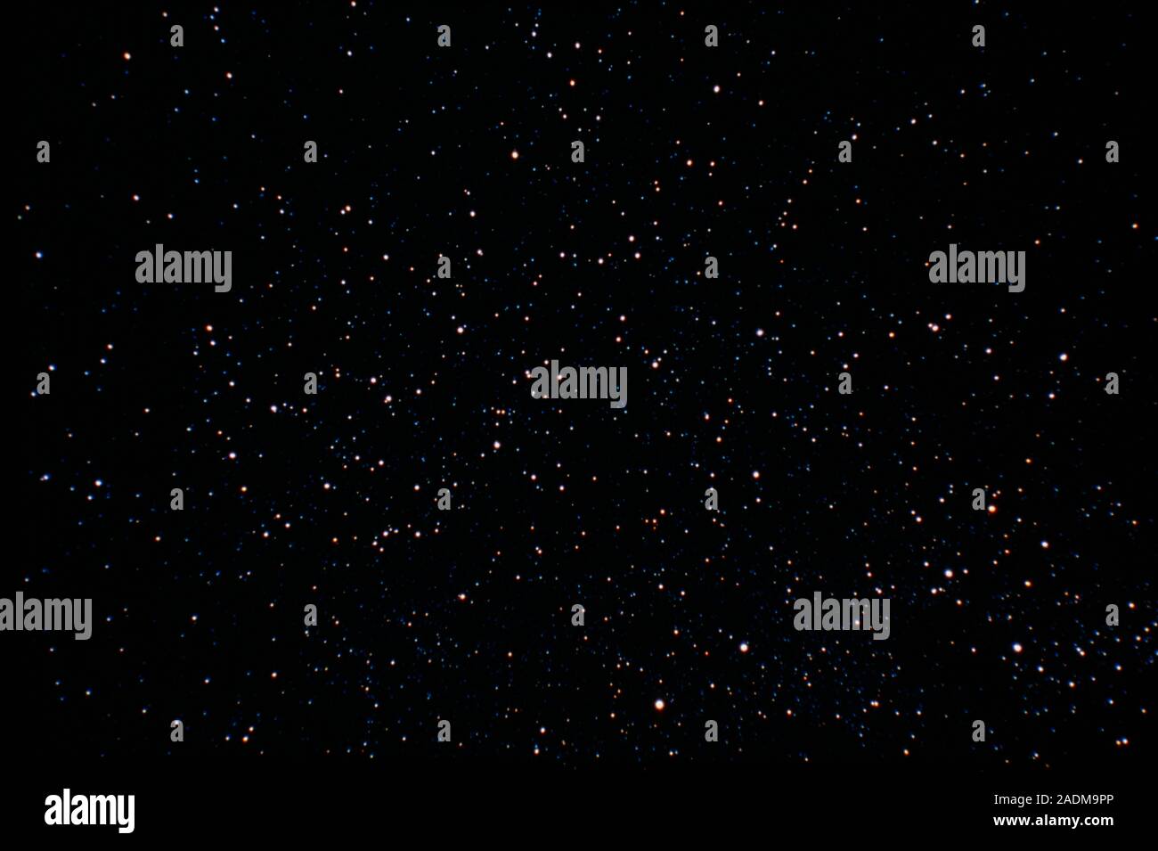 Wolf All The Constellations The Centaurus Constellation: Facts, Myths