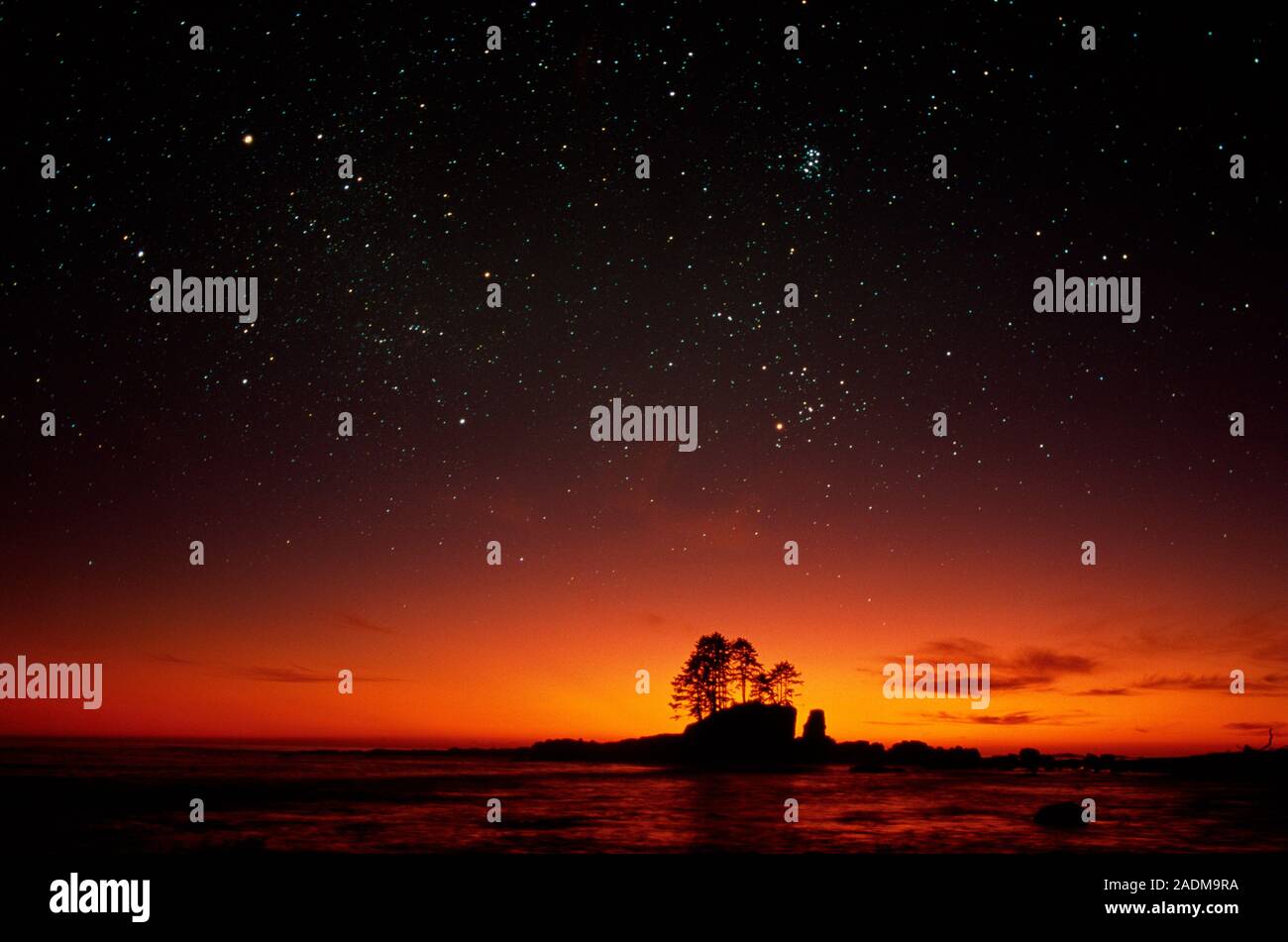 Taurus, Pleiades and Auriga. Optical photograph of the constellations ...