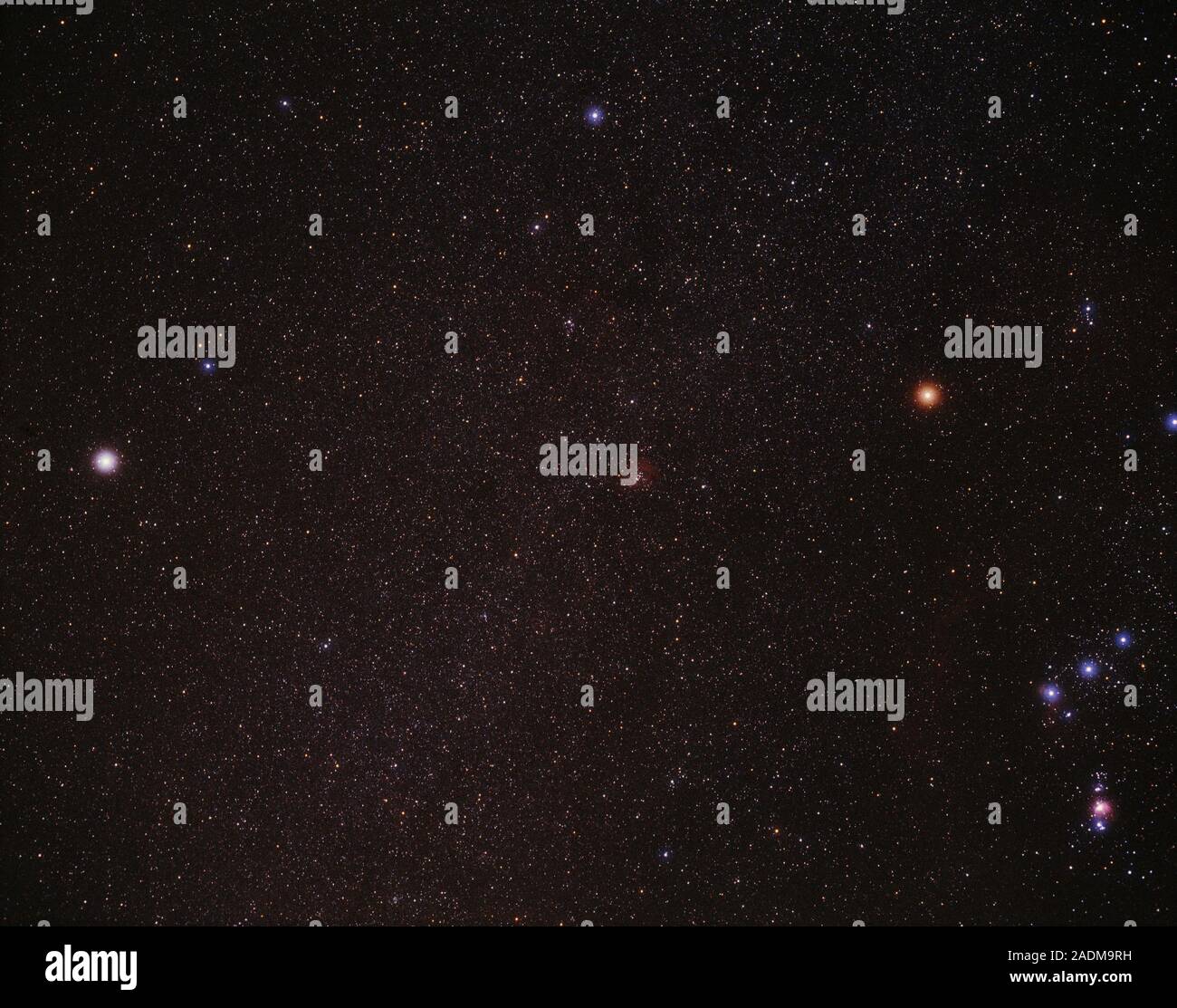 The constellation of Monoceros (the Unicorn). Monoceros (centre) is a ...