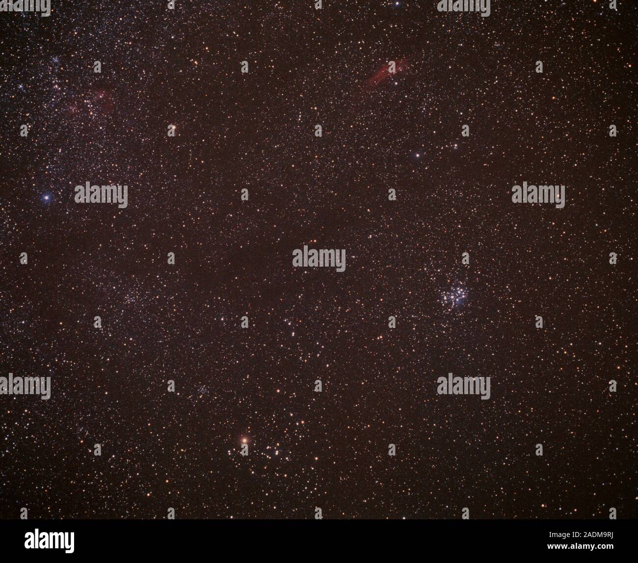 The constellation of Taurus (the Bull, bottom and centre left). The ...