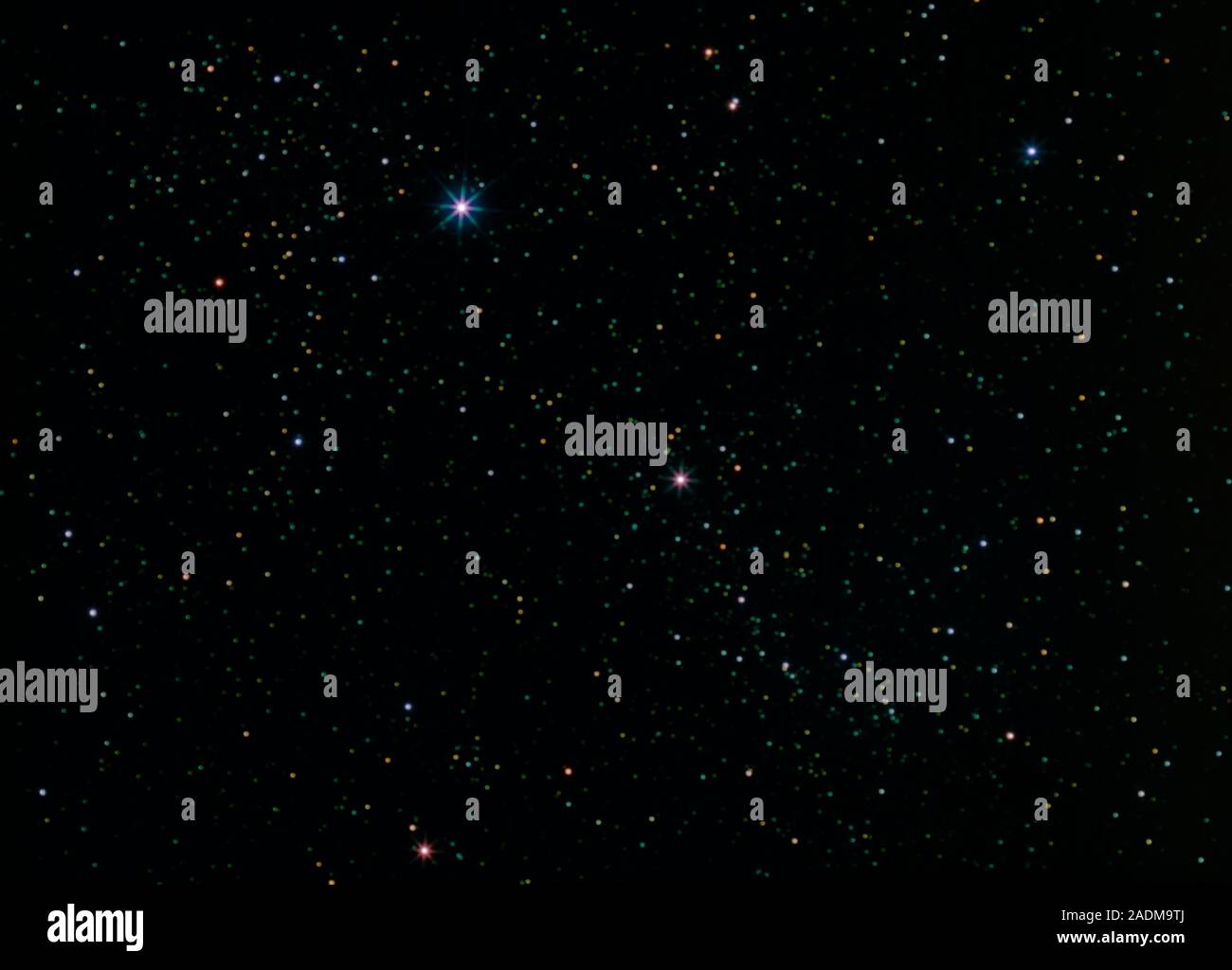 Cygnus constellation. Constellation of Cygnus, the Swan, featuring the ...