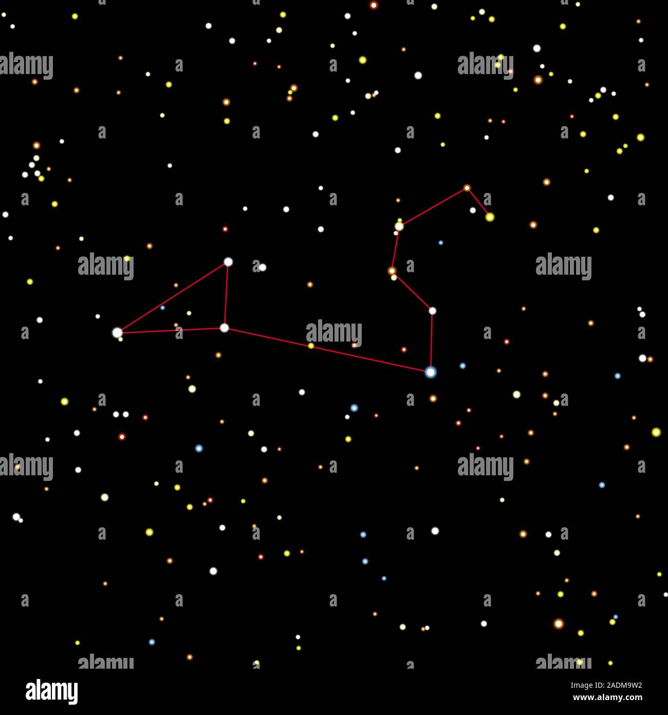 Leo. Computer artwork of the constellation of Leo (the Lion), with a ...