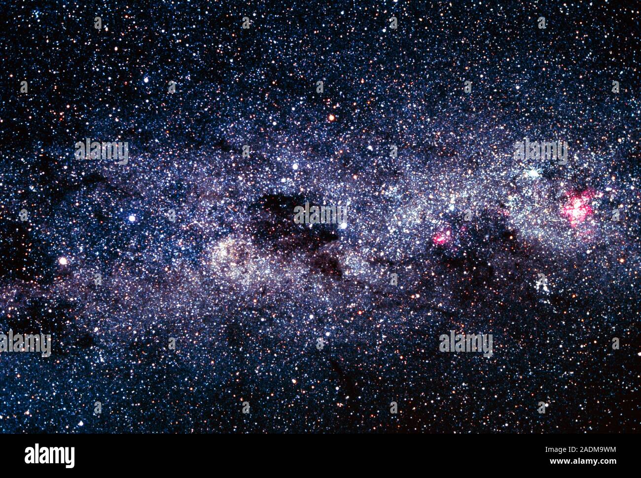 Centaurus, Crux & Carina constellations. Starfield featuring the ...