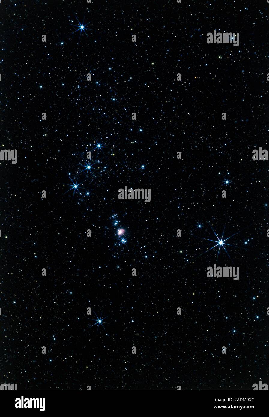 Orion constellation. Optical image of the lower part of the ...