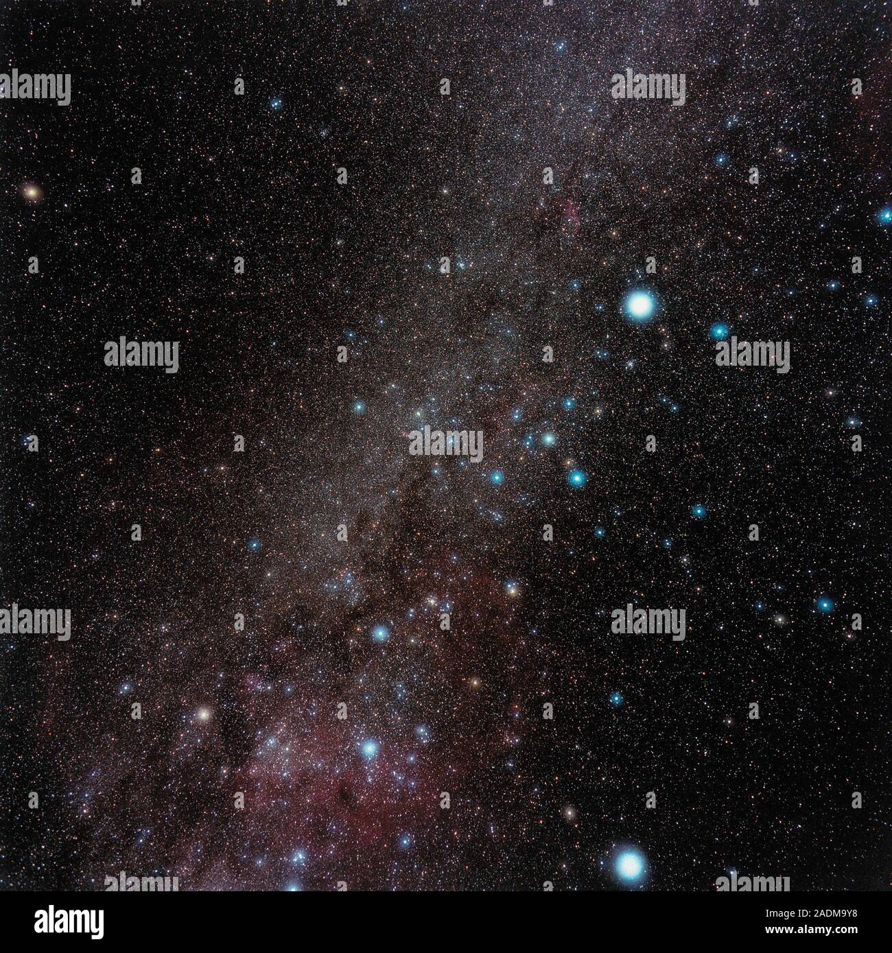 Canis Major constellation. Optical image of the constellation Canis ...