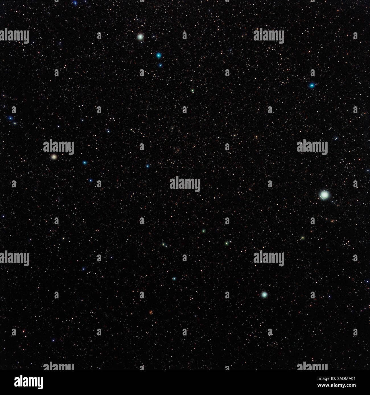 Cetus constellation. Optical image of the constellation Cetus, the sea ...