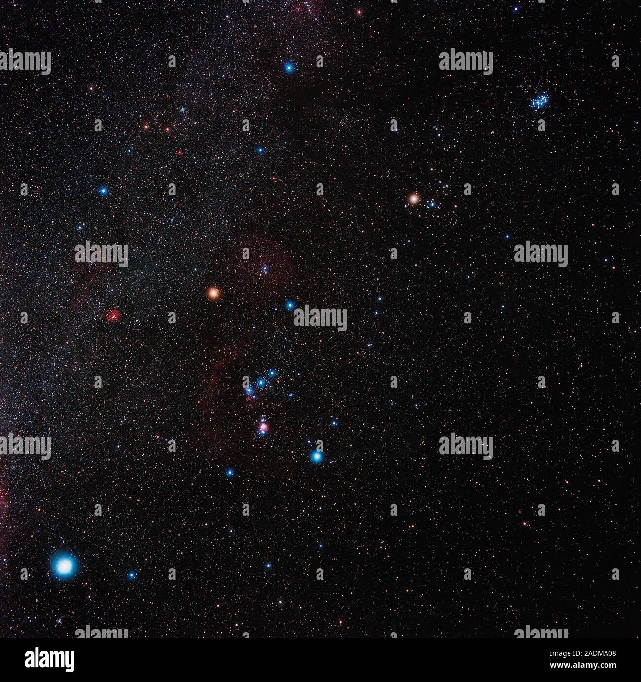 Orion constellation. Optical image of the constellation Orion, the ...