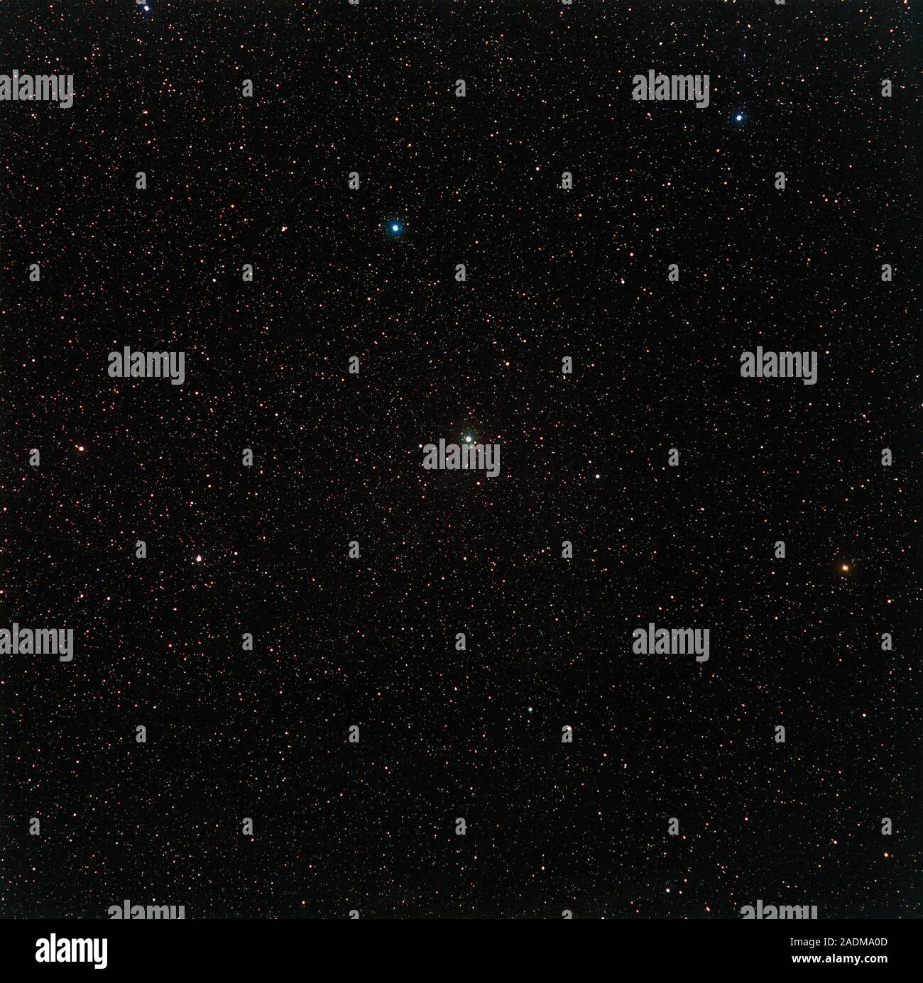 Lepus constellation. Optical image of the constellation Lepus, the hare ...